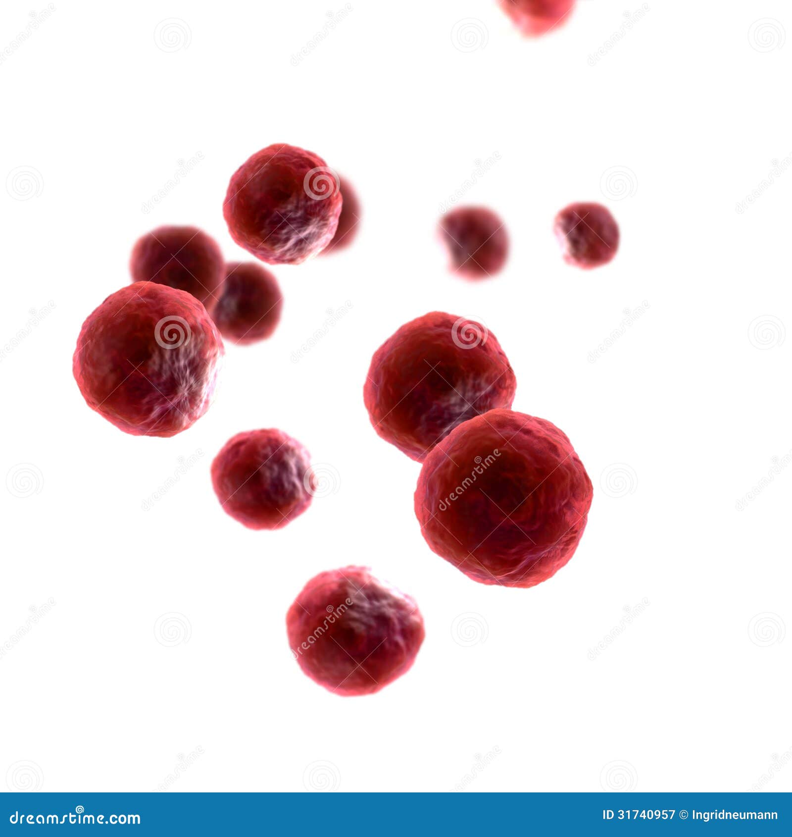 Human Cells on White Background Stock Illustration - Illustration of ...