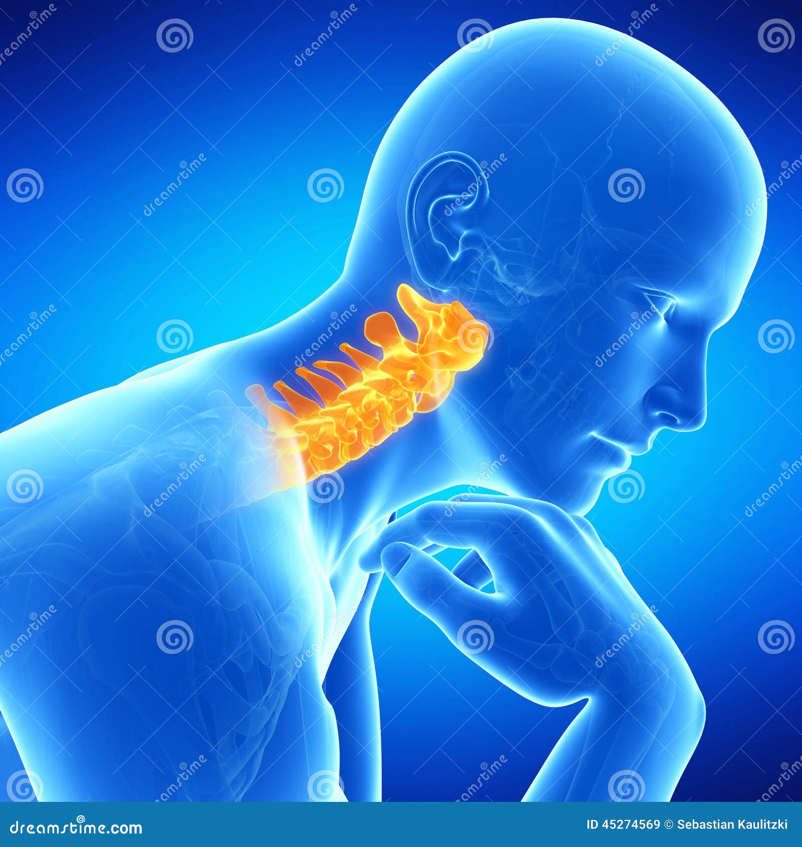 The human cervical spine stock illustration. Illustration of ...