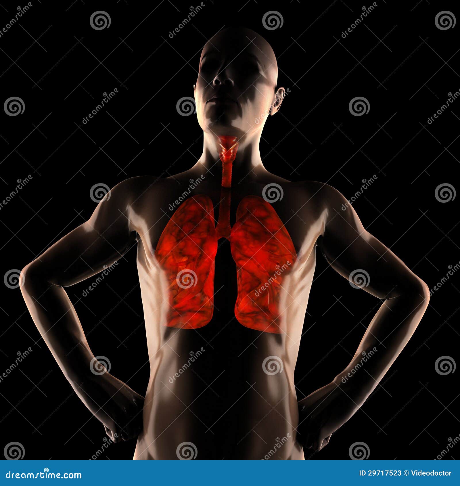 X-ray Of The Human Chest, The Concept Of Preventive Examination ...