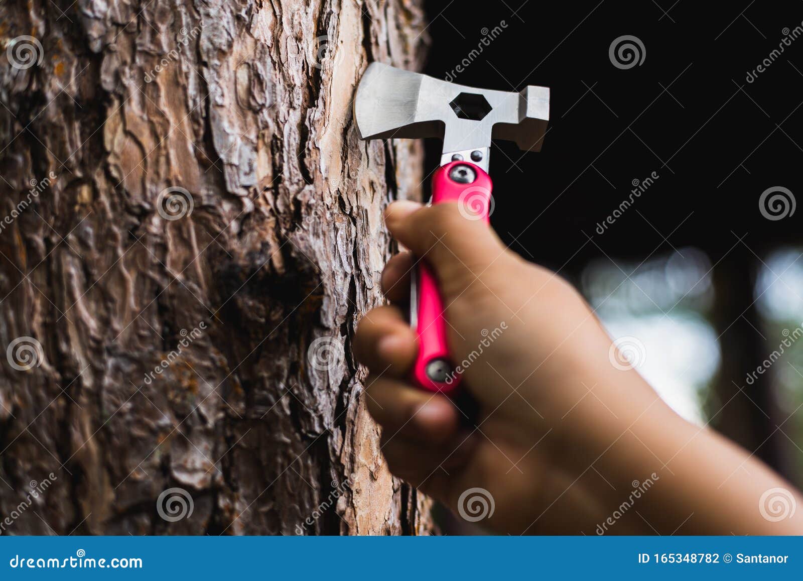 Human Chopping Pine Tree with Mini Axe Stock Photo - Image of tree ...
