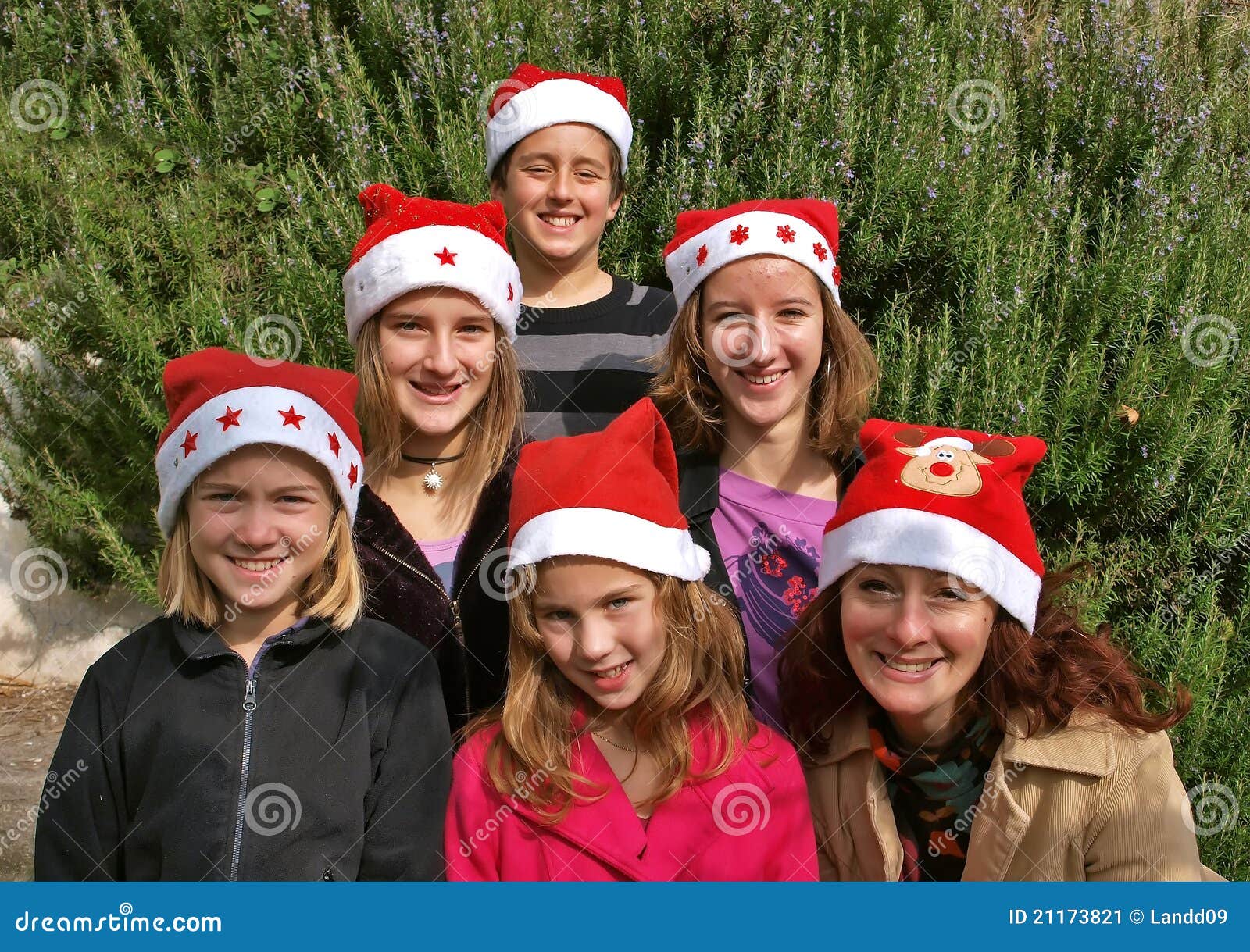 Human Christmas tree stock image. Image of friends, family - 21173821