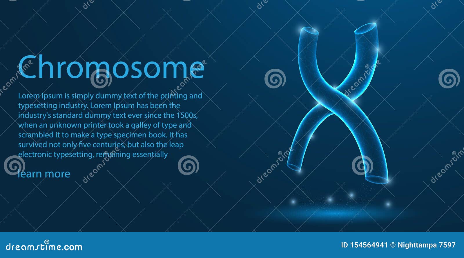 Human Chromosome. X-shaped Structure.low Poly Wireframe Theme Concept ...
