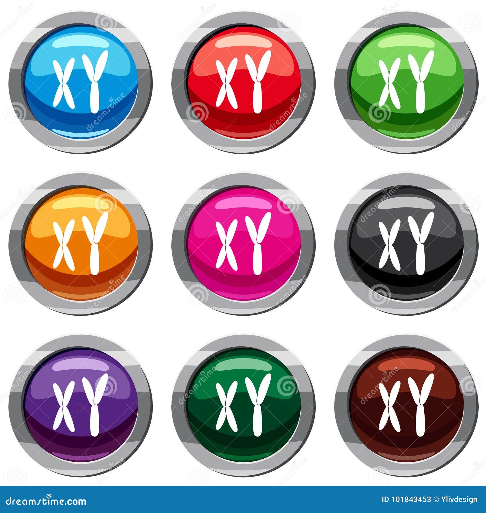 Human Chromosomes Set 9 Collection Stock Vector - Illustration of ... Human Chromosomes Set 9 Collection Stock Vector - Illustration of ...