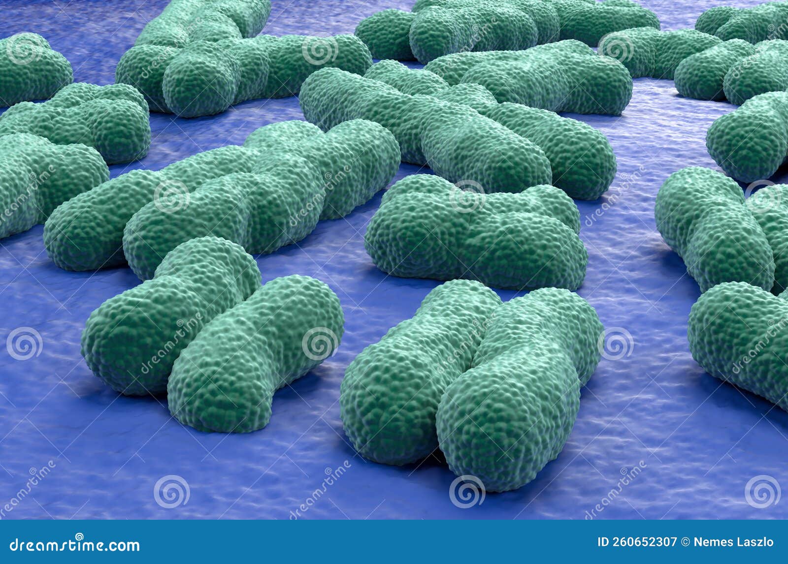 Pyrimidines And Purines Nucleotide Diagram Chemical Structure Cartoon ...