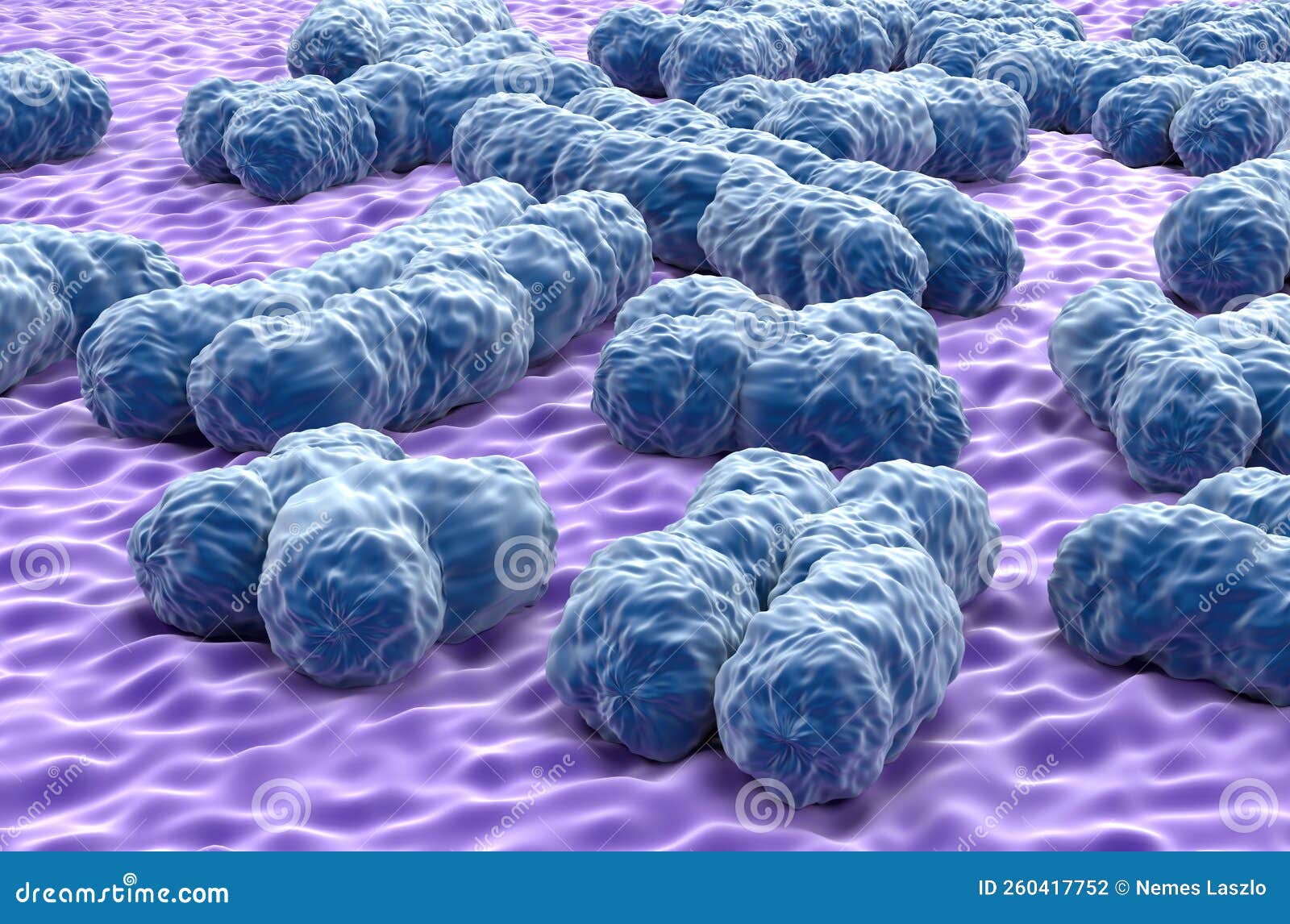 Human Chromosomes 23 + X, Y Structures Made of Protein and a Single ...