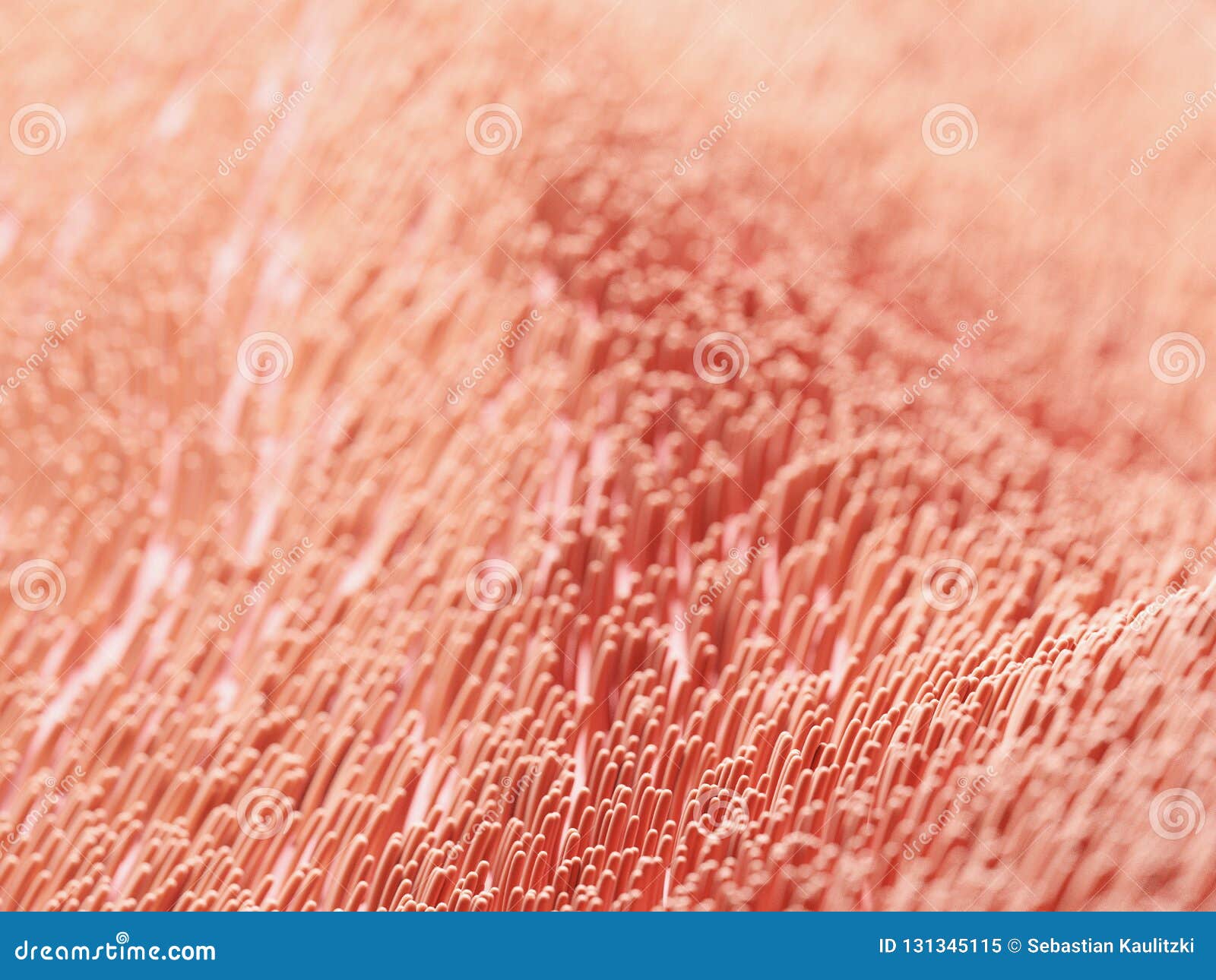 Human cilia stock illustration. Illustration of beautiful - 131345115