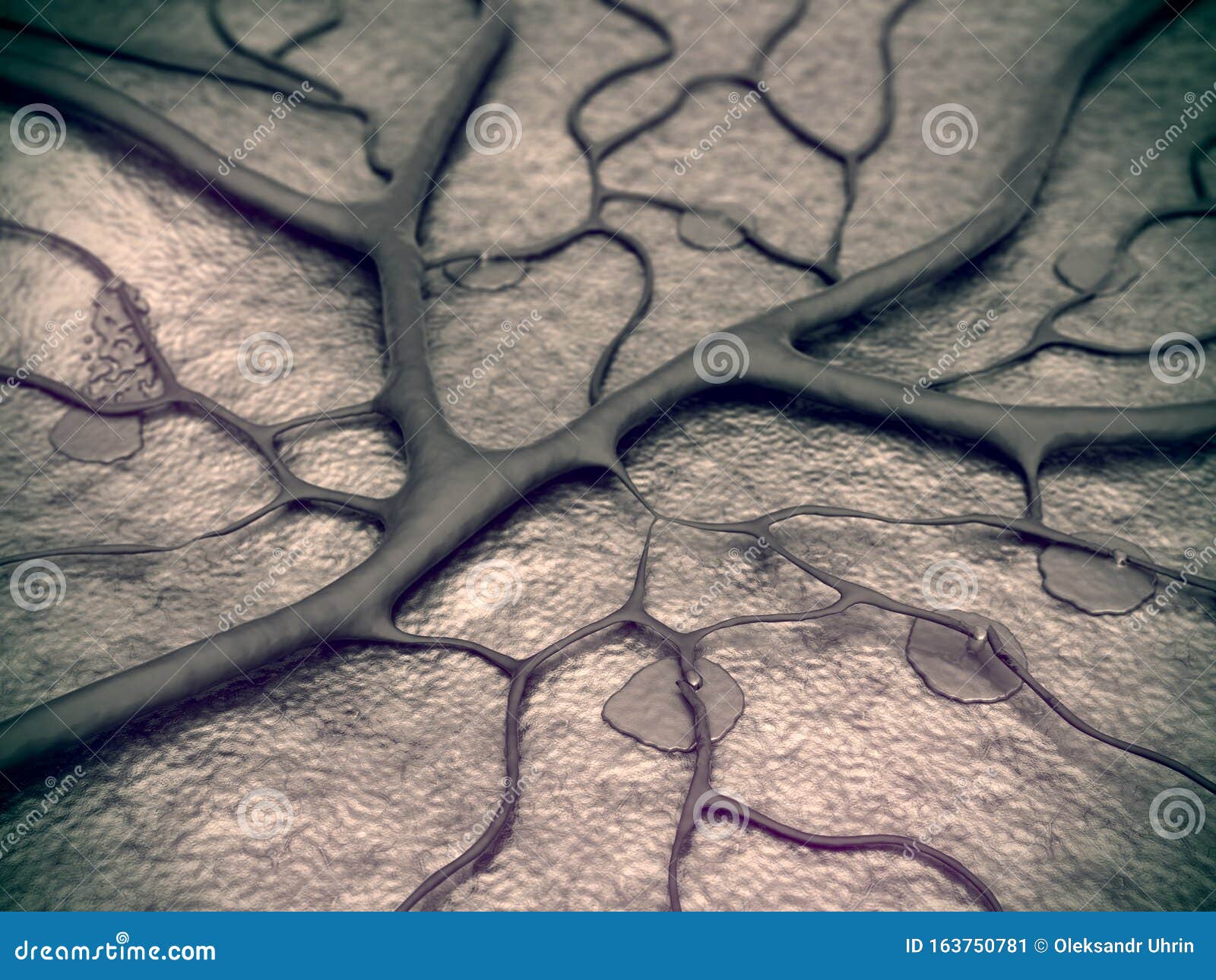 Capillary Blood Collection Tubes Royalty-Free Stock Photography ...