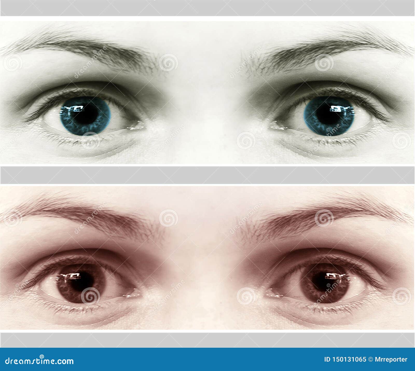 Eye stock image. Image of face, cutout, criminology - 150131065