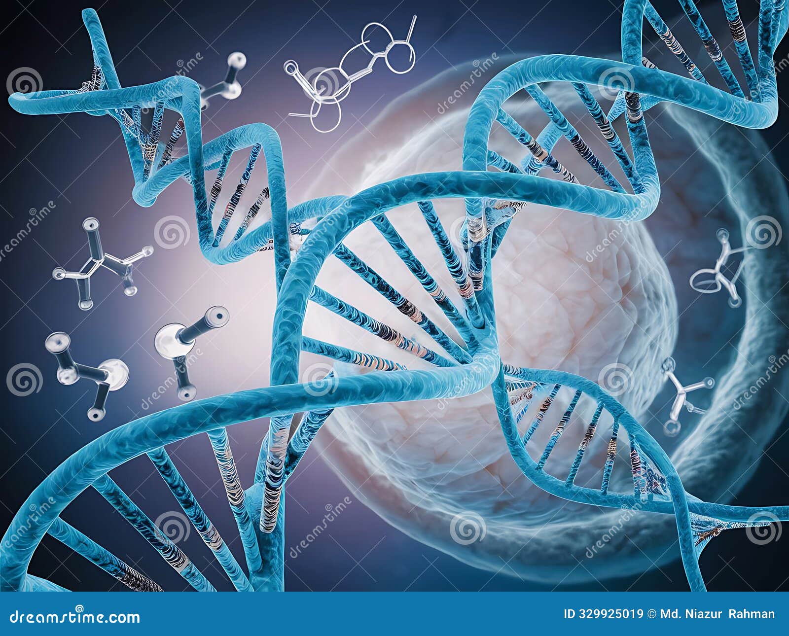 Human Close-up of DNA Double Helix Structure Stock Illustration ...