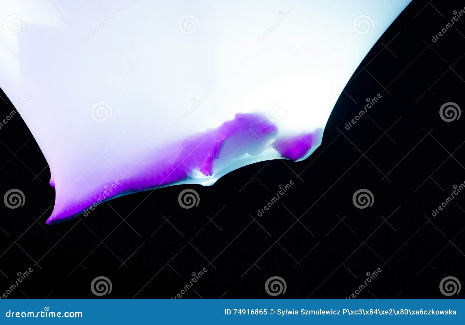 Human cocoon stock image. Image of creature, beauty, glamour - 74916865