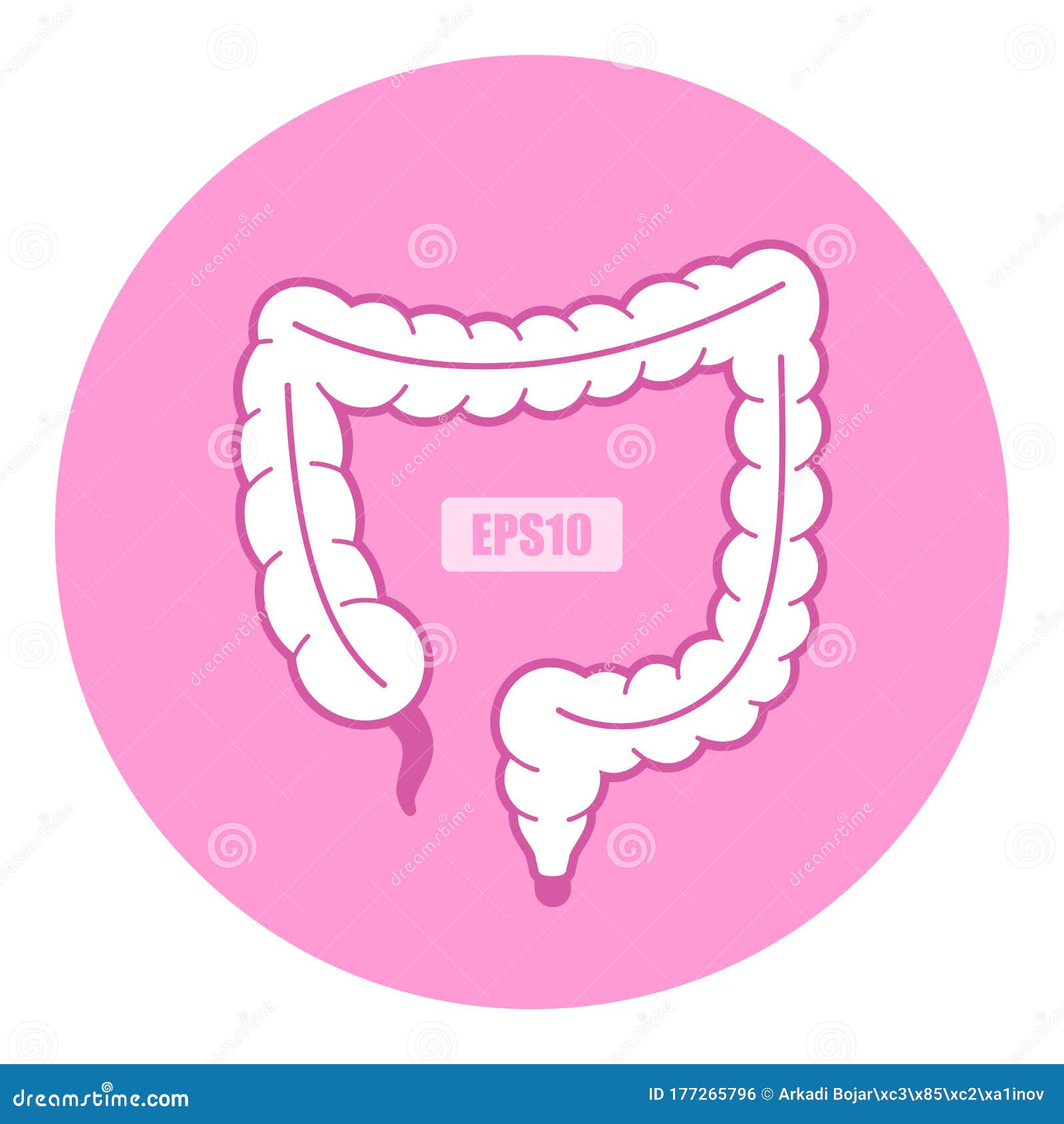 Human Colon Vector Logo | CartoonDealer.com #177265796