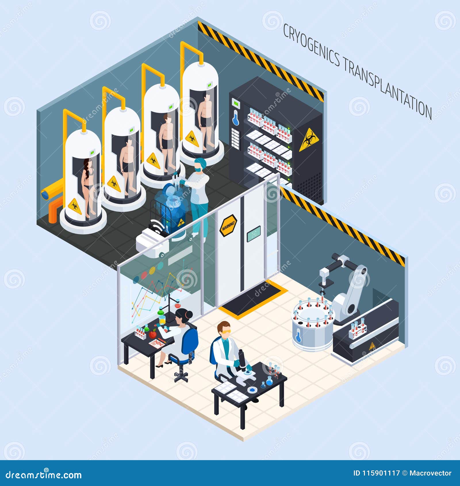 Transplantation Isometric Flowchart Cartoon Vector | CartoonDealer.com ...