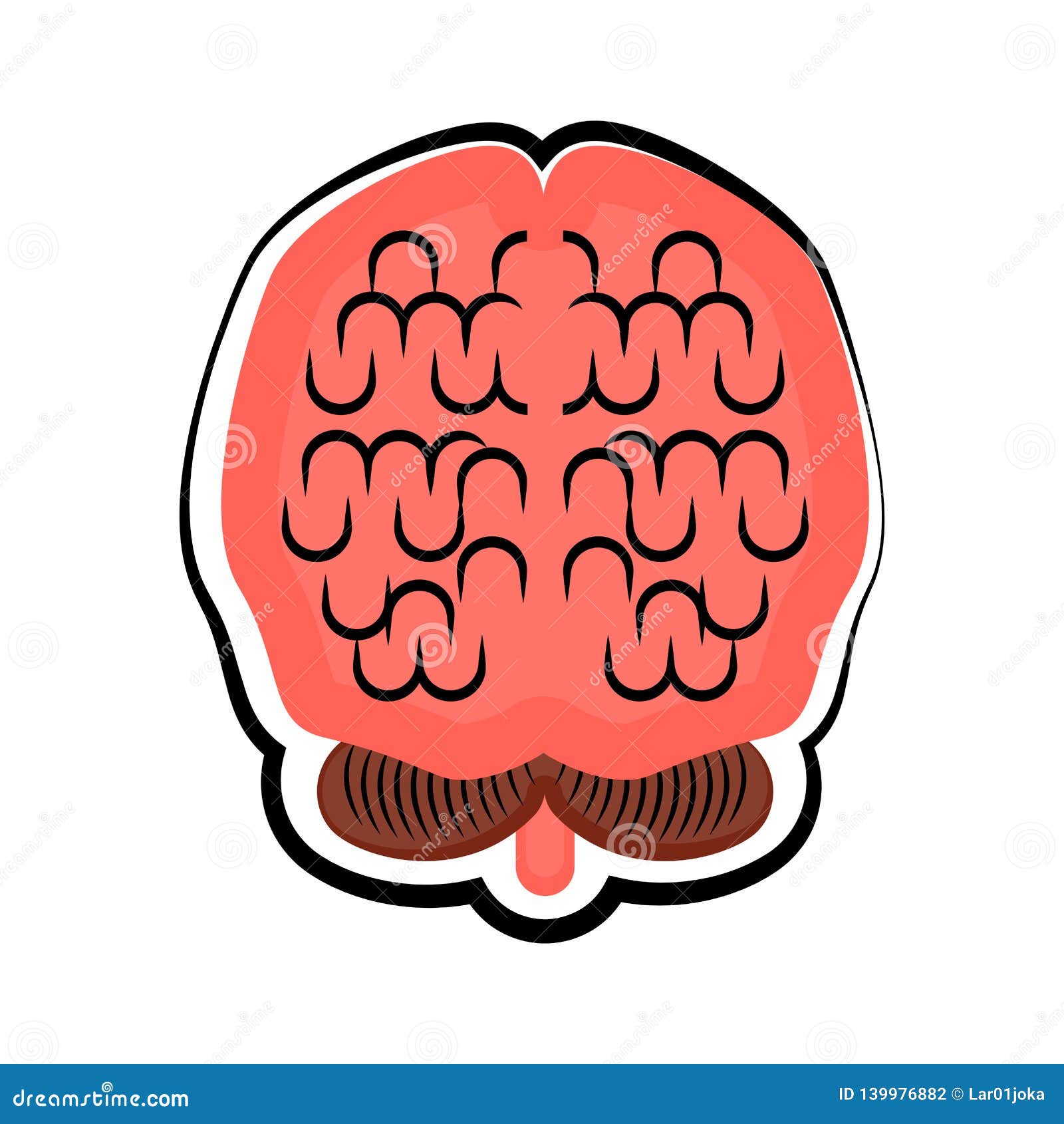 Human Cut Brain. Colored Sketch Stock Vector - Illustration of human ...