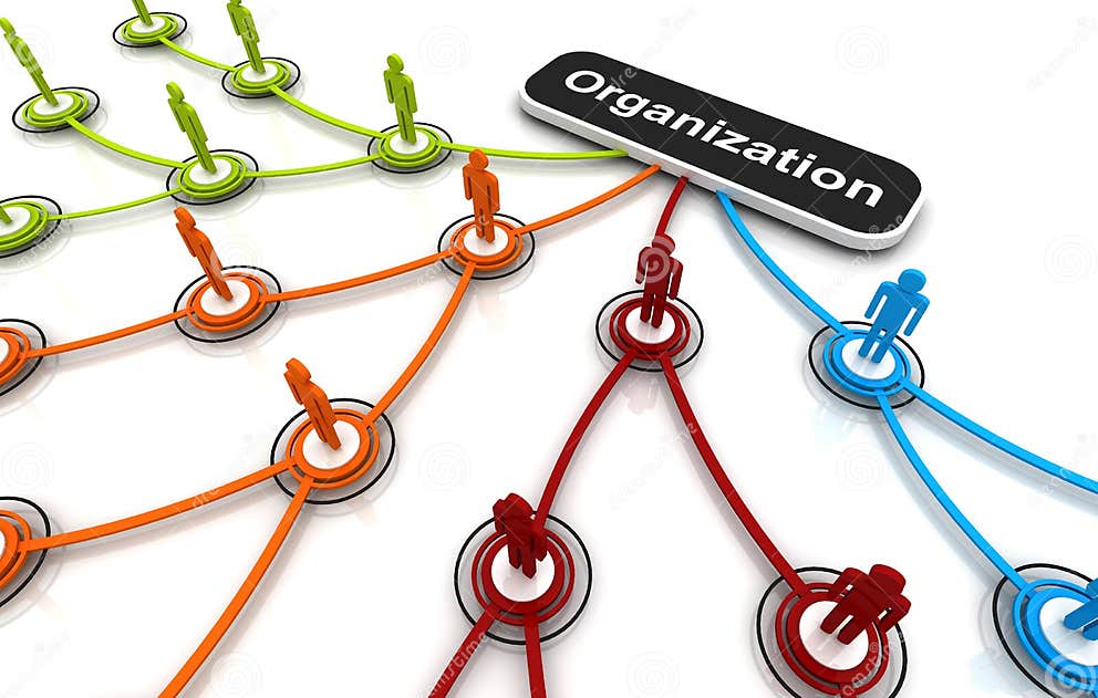 Human 3D Model Connection Link Organization Chart Stock Illustration ...