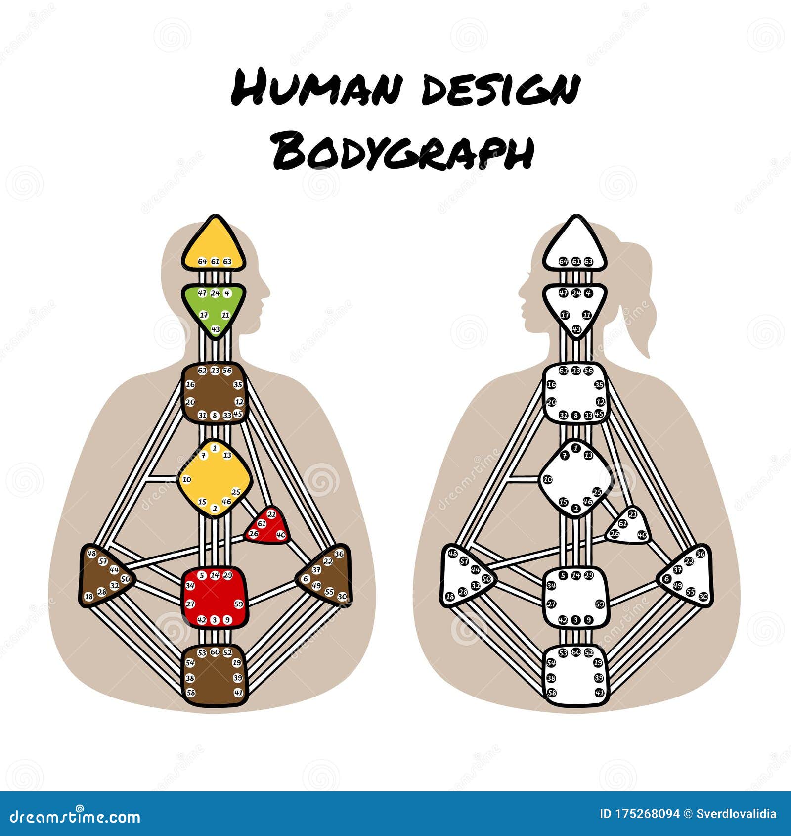 Human Design Bodygraph Chart Design. Nine Energy Centers Stock Vector ...