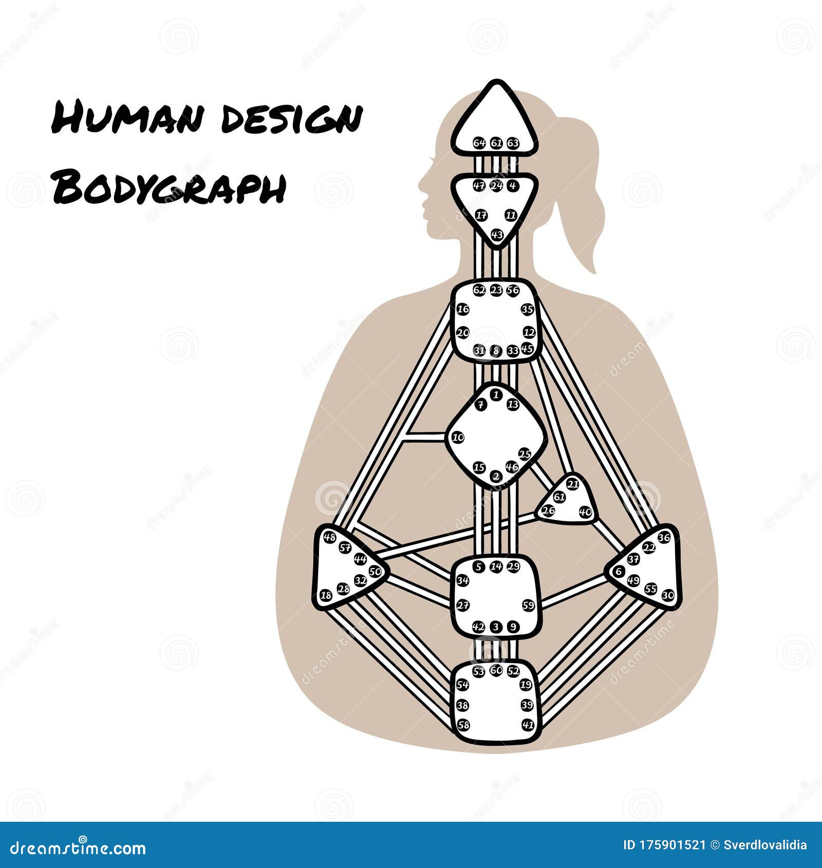 Human Design Bodygraph Chart Design. Nine Energy Centers Stock Vector ...