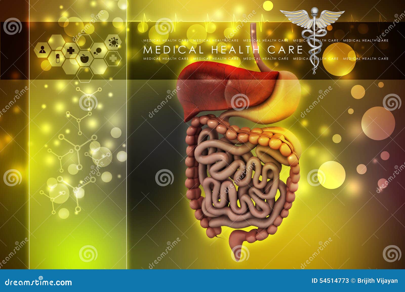 Human digestive system stock illustration. Illustration of intestine ...