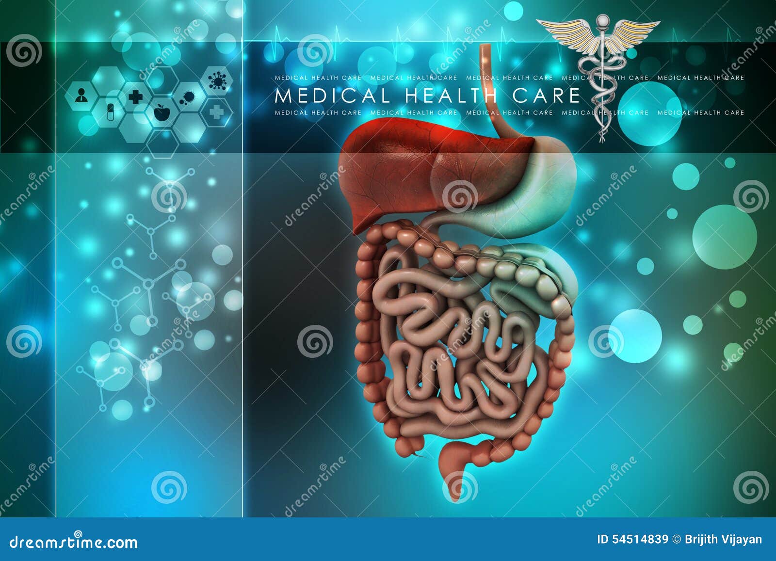 Human digestive system stock illustration. Illustration of healthy ...