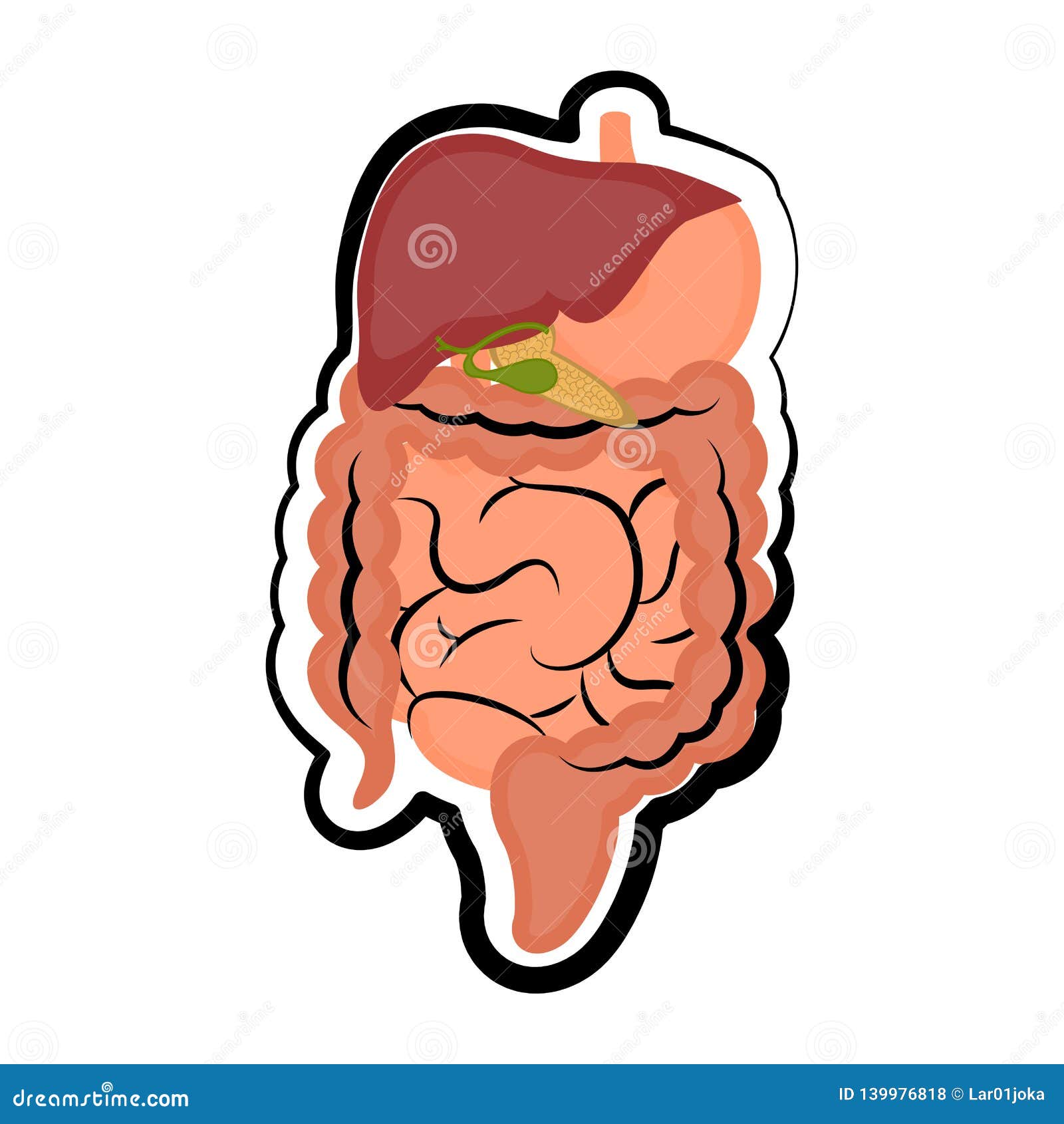 Human Digestive System. Colored Sketch Stock Vector - Illustration of ...