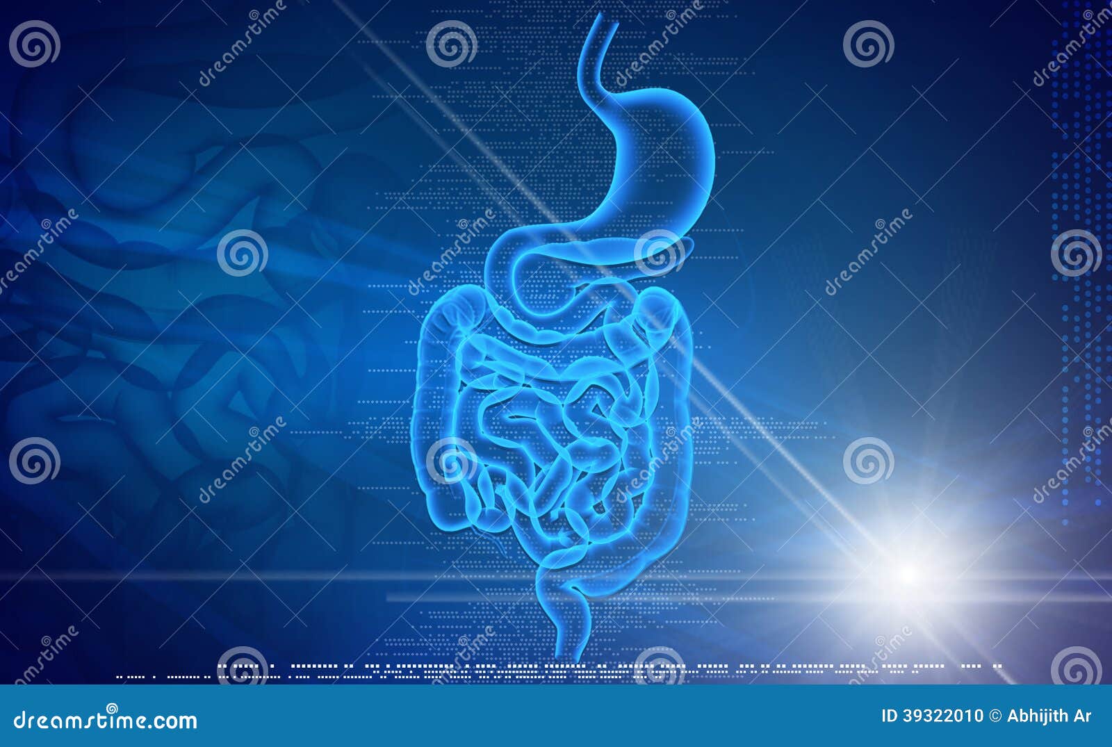 Human digestive system stock illustration. Illustration of illustrative ...