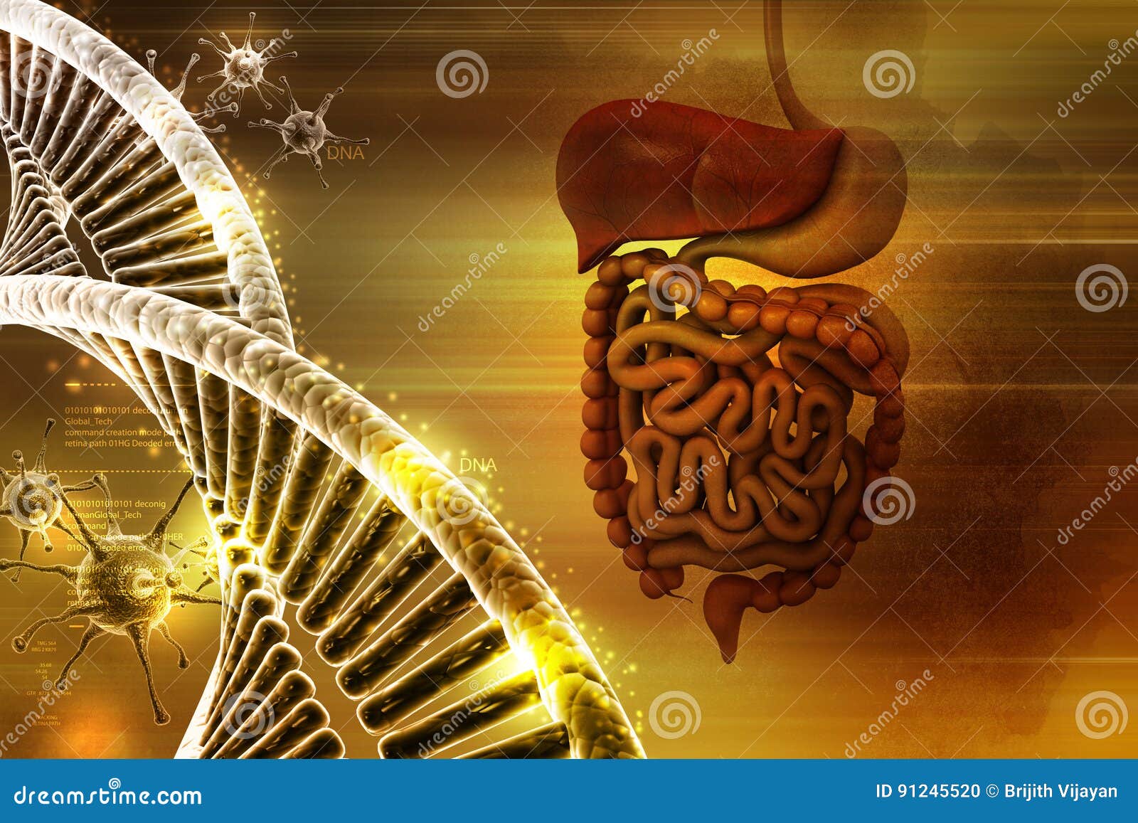 Human Digestive System with Dna and Virus Stock Illustration ...