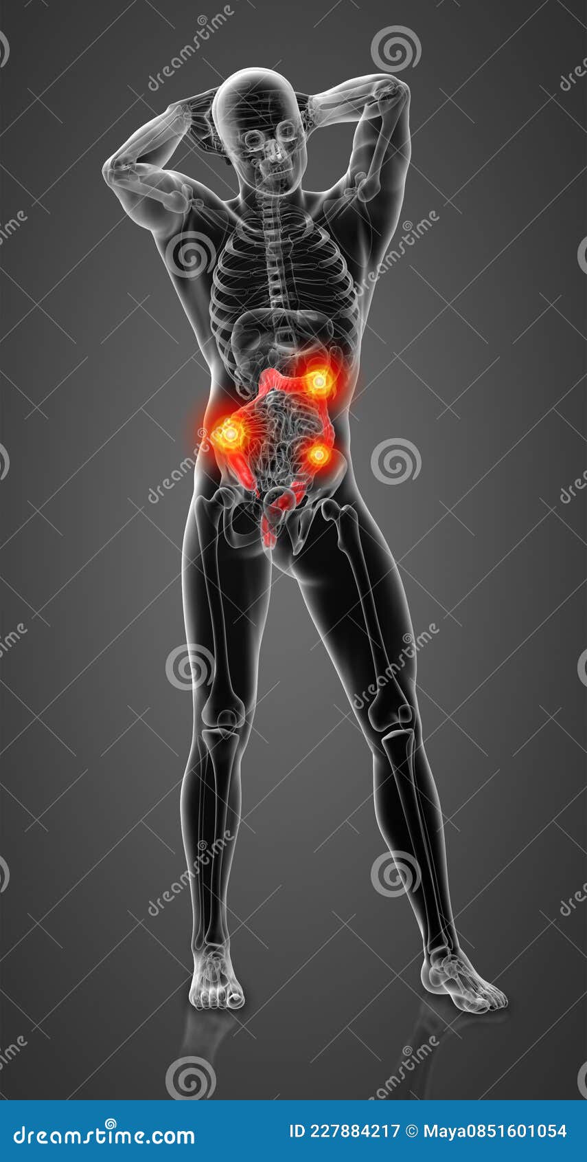 3D Rendering Illustration of Large Intestine Stock Illustration ...