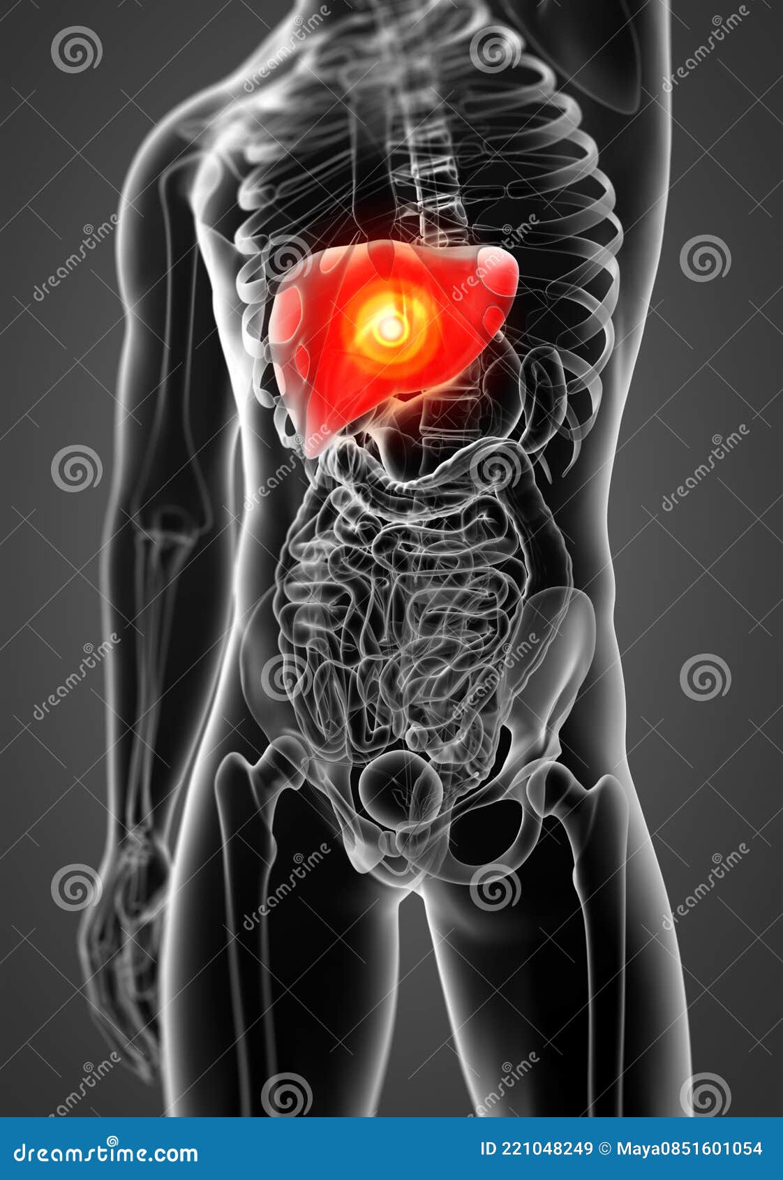 3D Rendering Illustration of Liver Stock Illustration - Illustration of ...