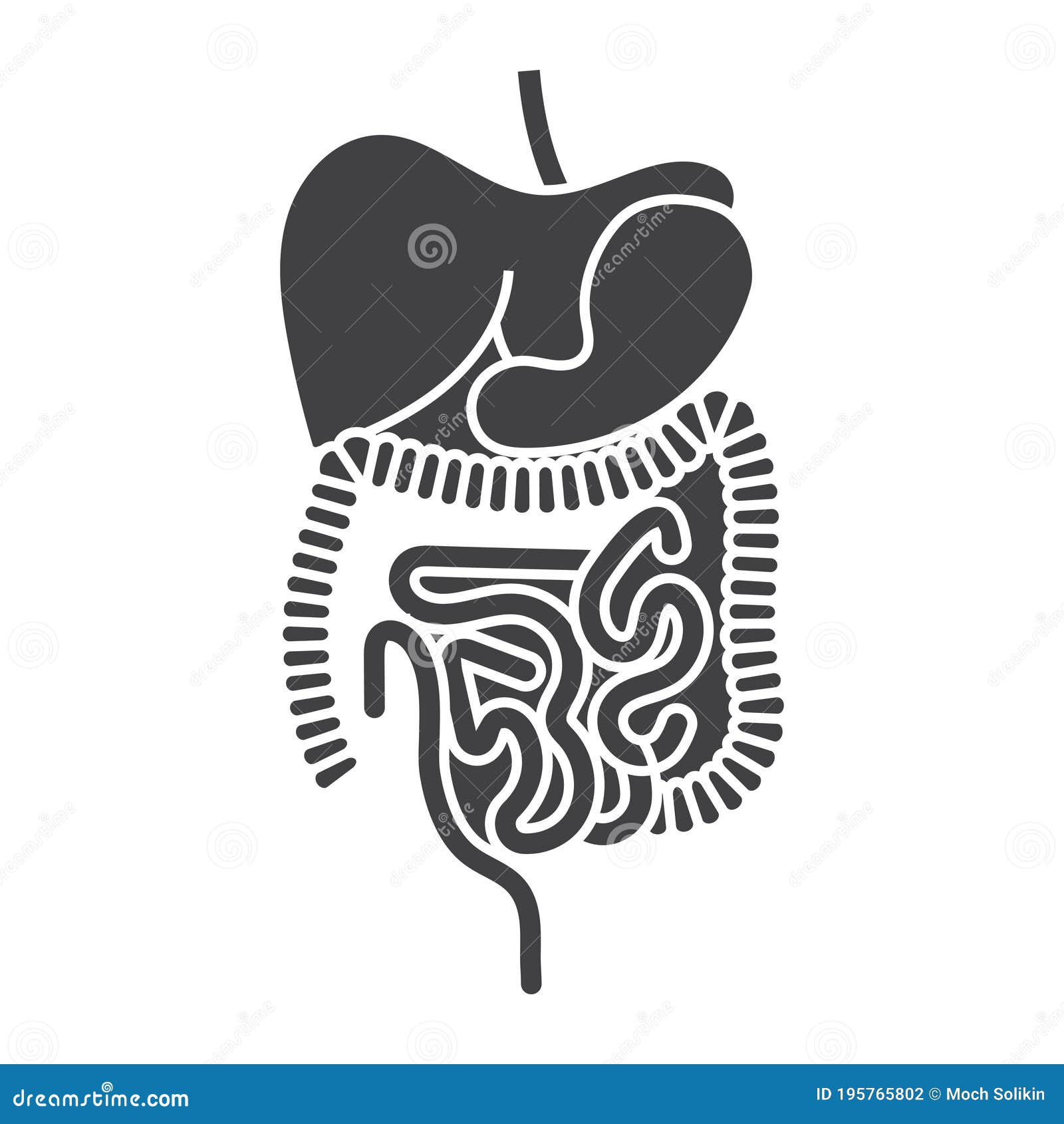 Human Digestive System Organs Flat Vector Icon for Apps and Websites ...