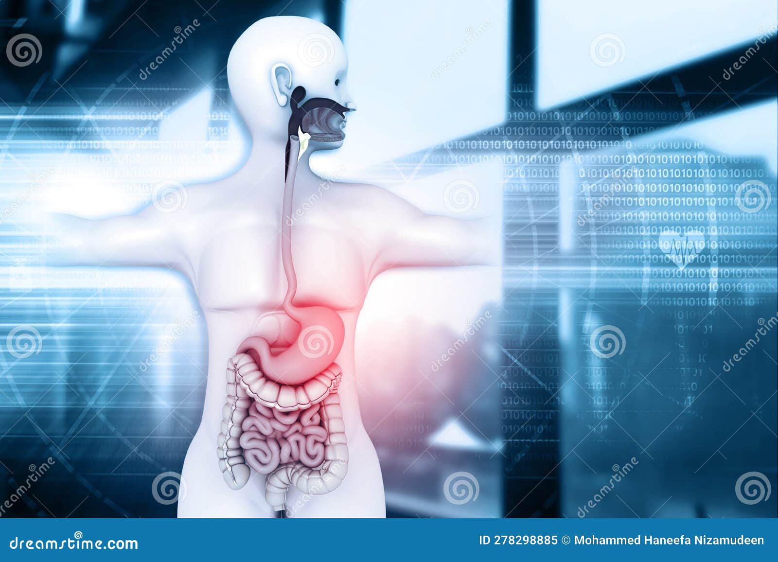 Human Digestive System on Scientific Background. Stock Illustration ...