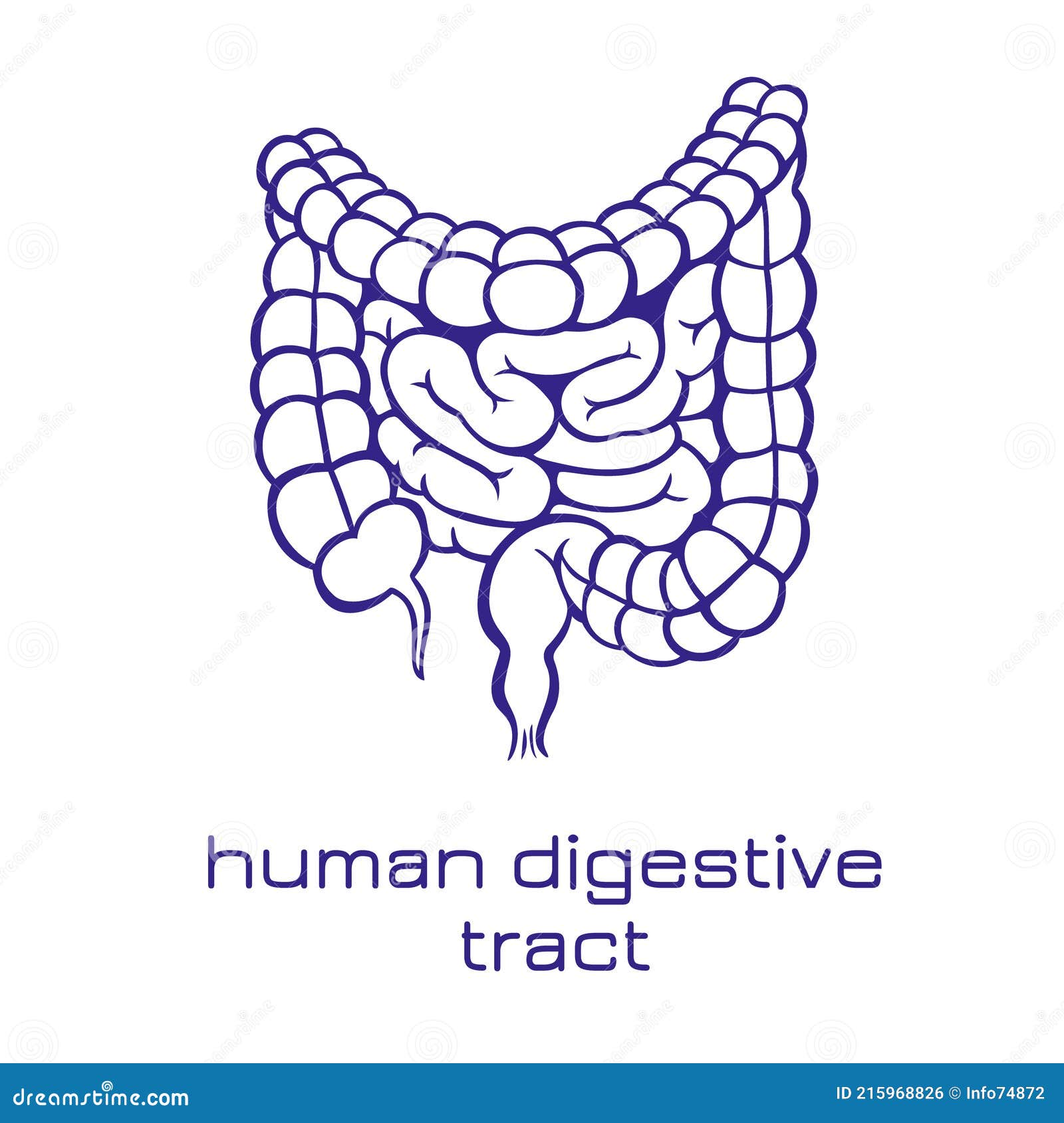 Human Digestive Tract Icon. Vector Illustration. Stock Vector ...