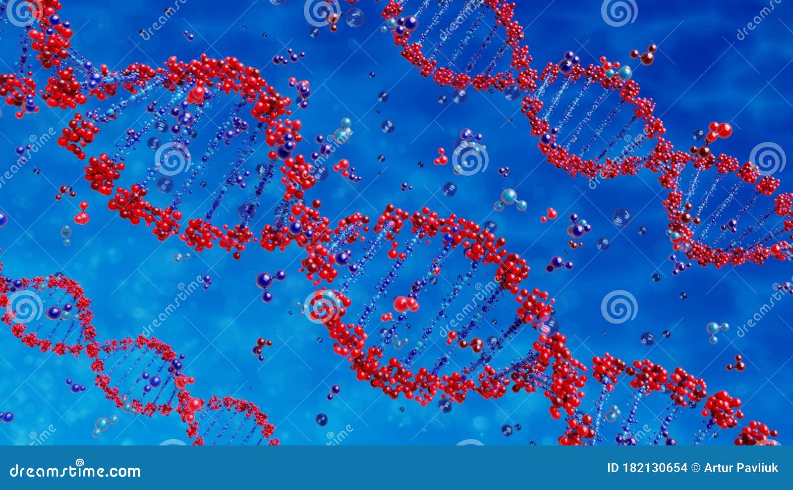 Human Dna Chain. Genome Structure. Stock Photo | CartoonDealer.com ...