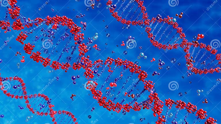 Human Dna Chain. Genome Structure Stock Illustration - Illustration of ...