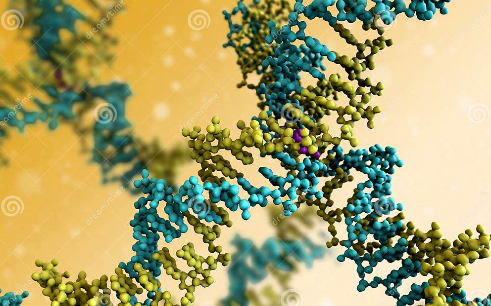 Human DNA close-up stock illustration. Illustration of genetic - 163173398