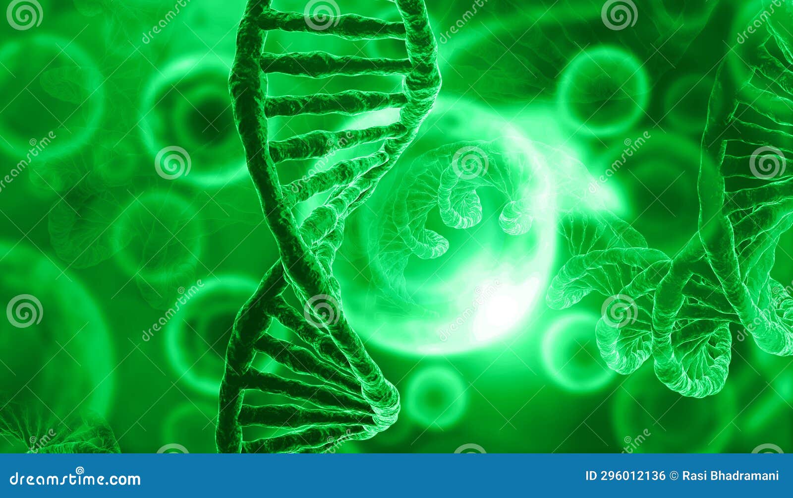 Human DNA stock illustration. Illustration of structure - 296012136