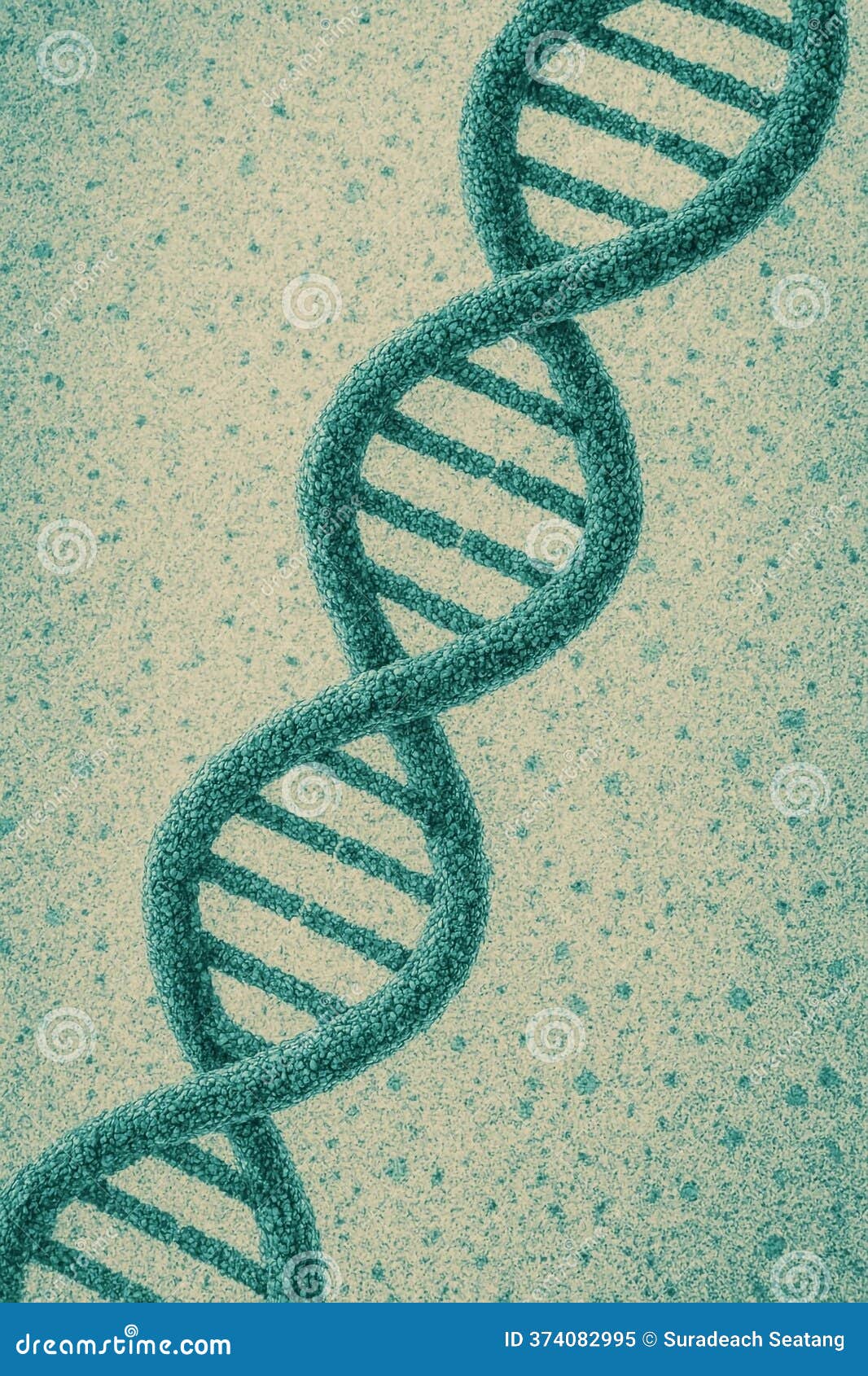 DNA Sequencing As Seen Under A Microscope Royalty-Free Stock Photo ...