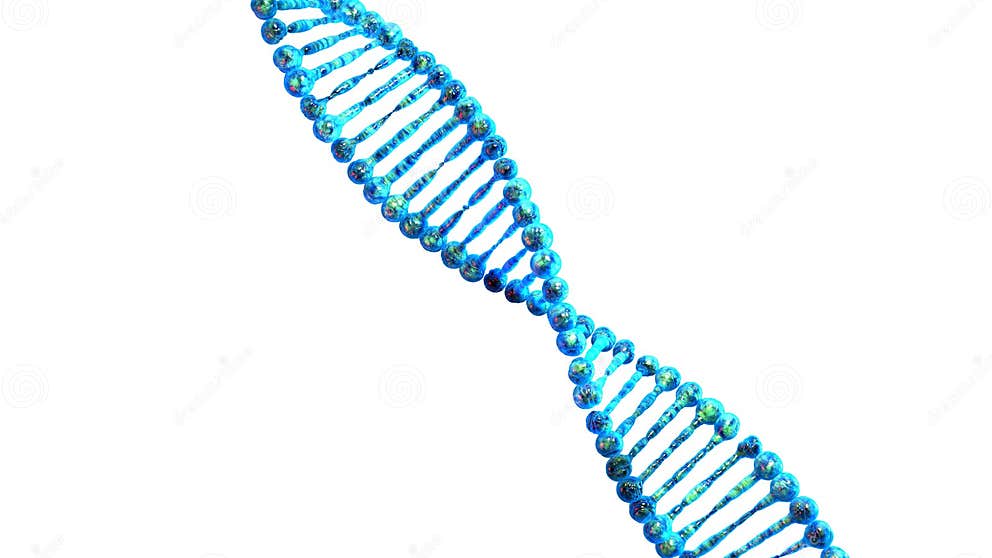 Human dna string stock illustration. Illustration of human - 64908675