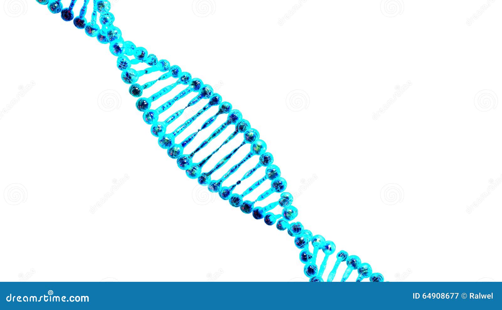 Human dna string stock illustration. Illustration of life - 64908677