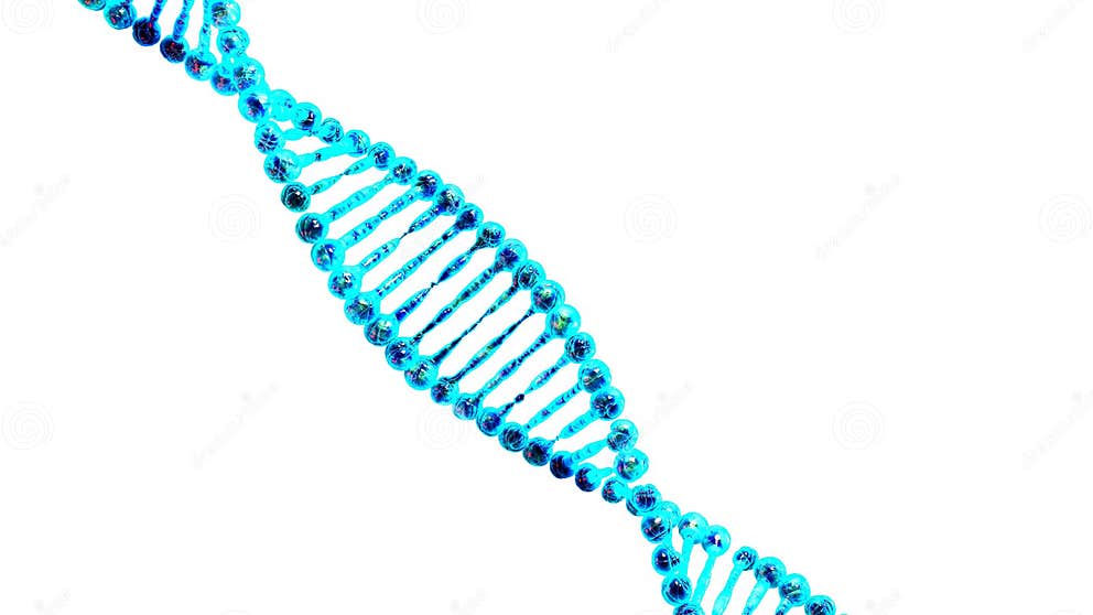 Human dna string stock illustration. Illustration of life - 64908677