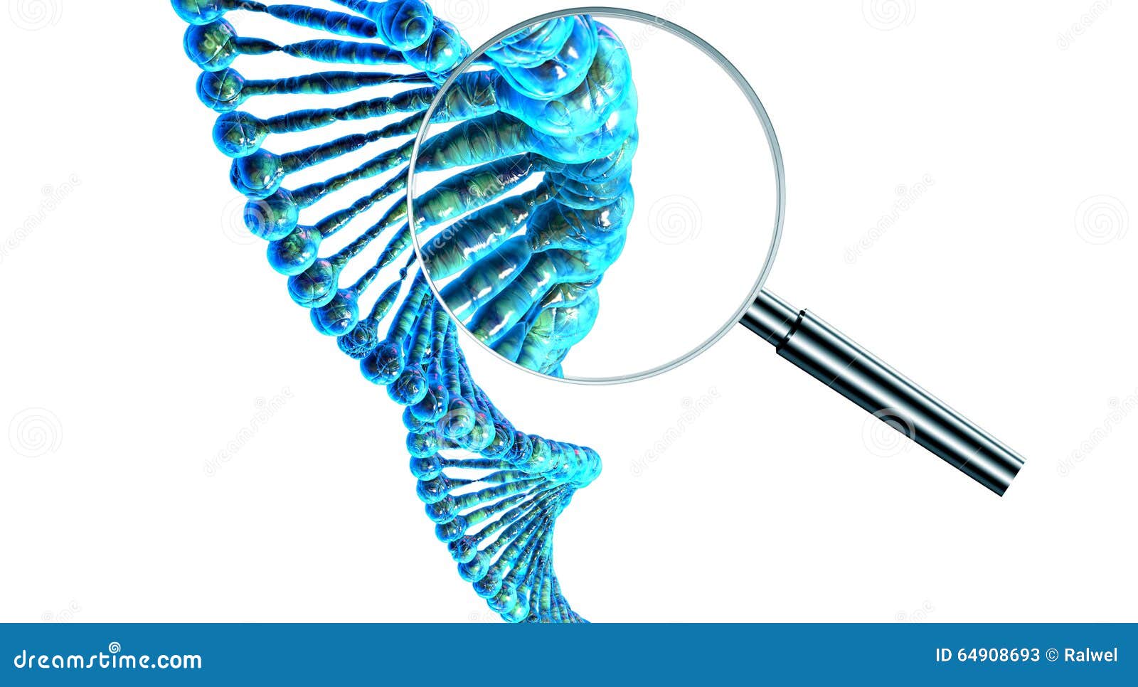 Human dna string stock illustration. Illustration of computer - 64908693