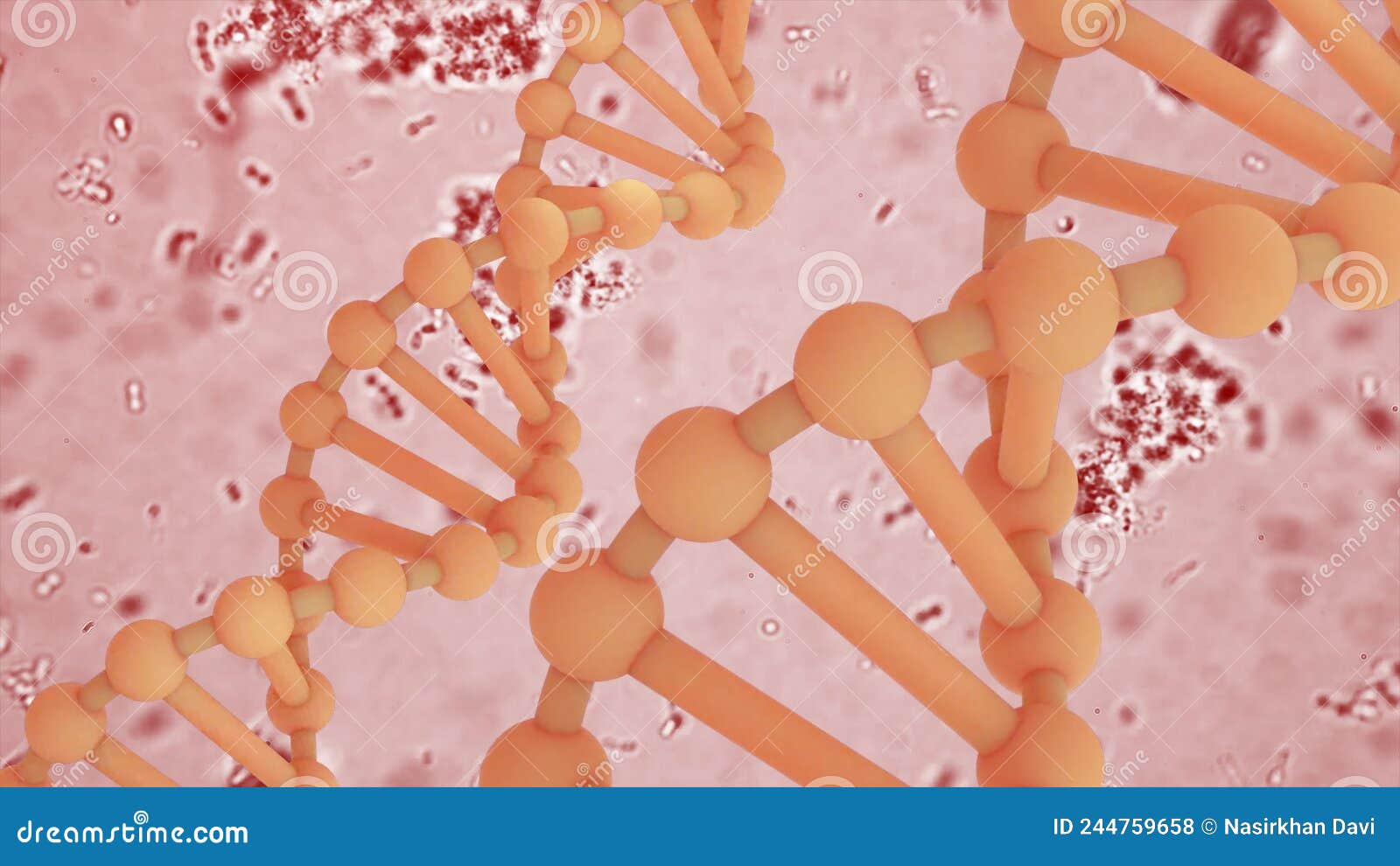 Computer Generated Human DNA System Anatomy Stock Illustration ...