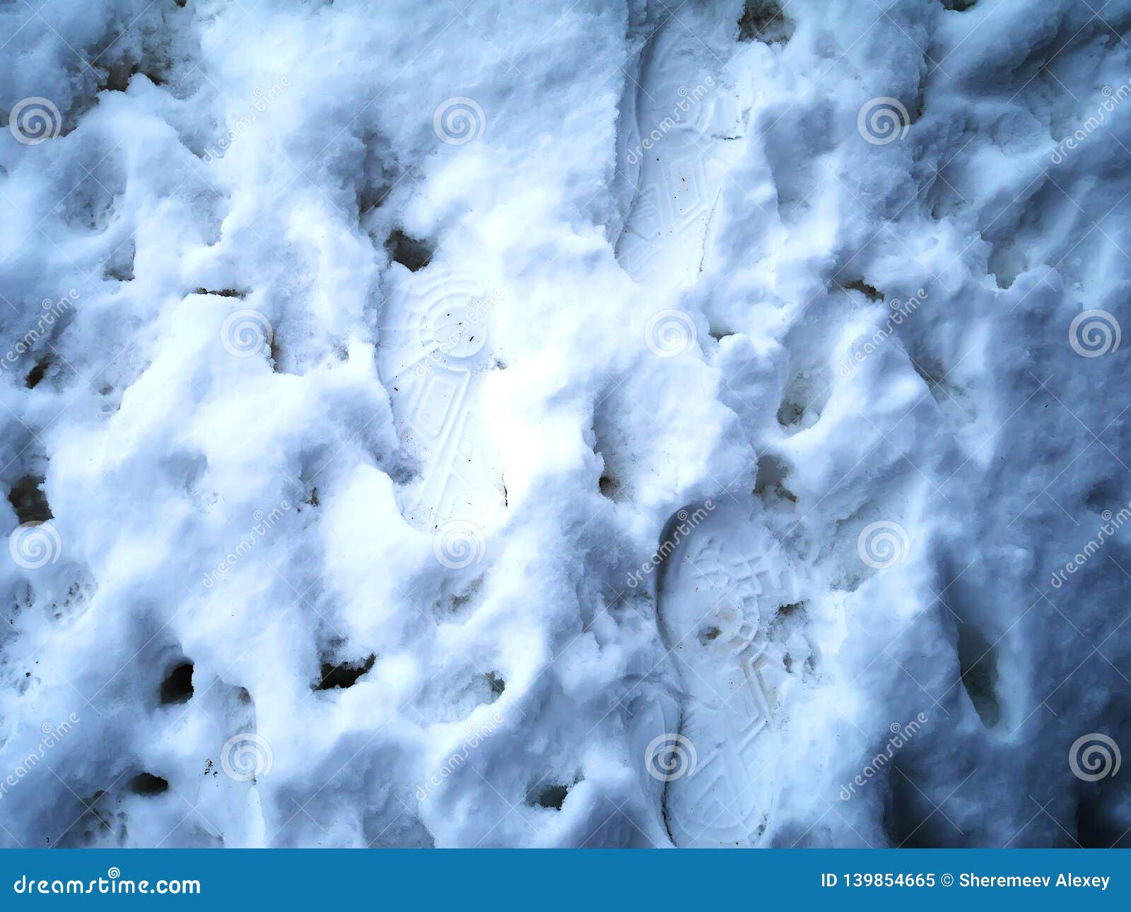 Human and Dog Footprints on Surface White Winter Snow. Overhead View ...