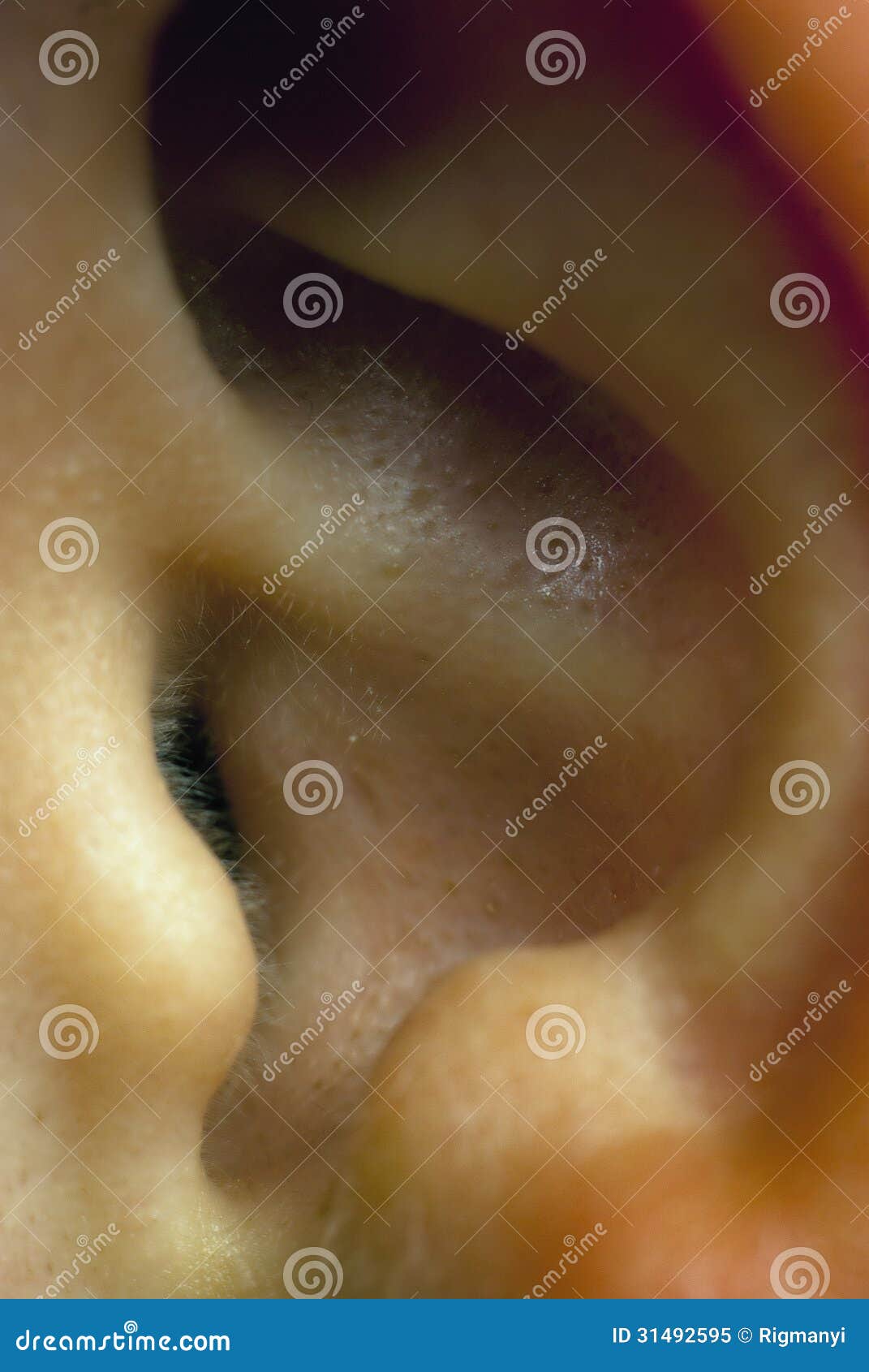 Human ear stock image. Image of detail, skin, listening - 31492595