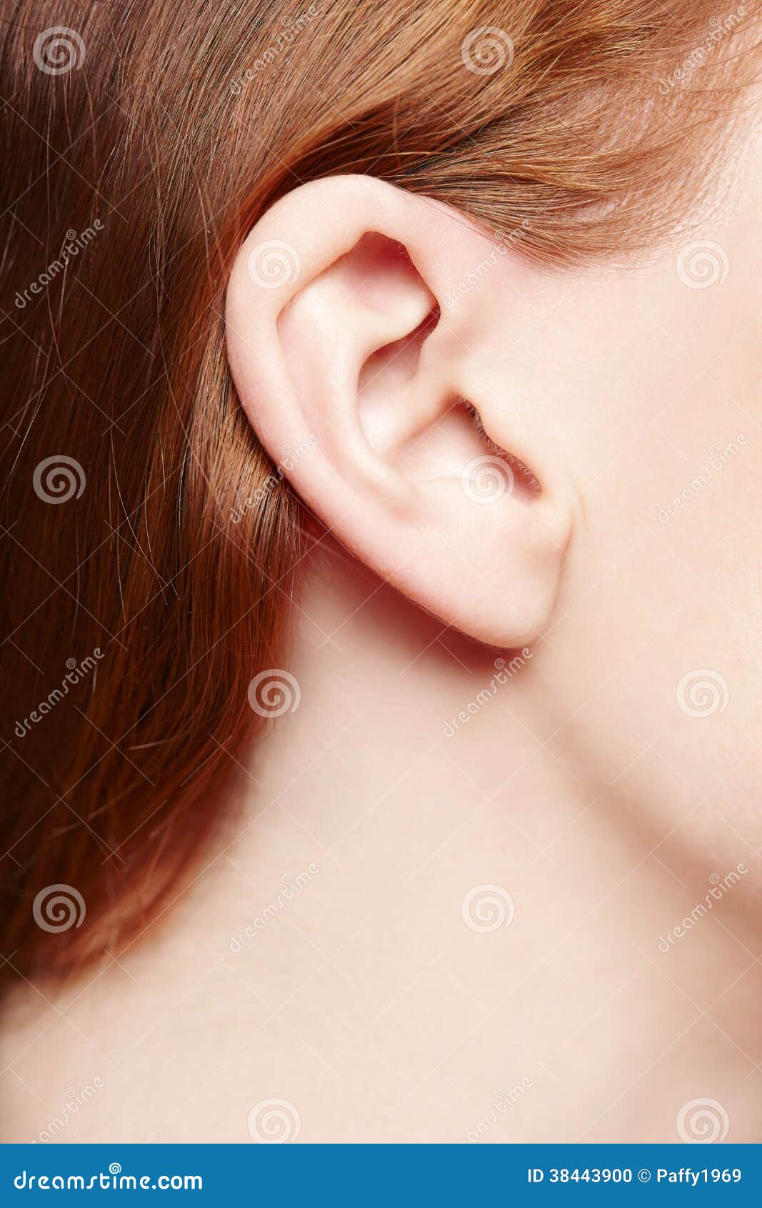 Human ear closeup stock photo. Image of caucasian, hear - 38443900