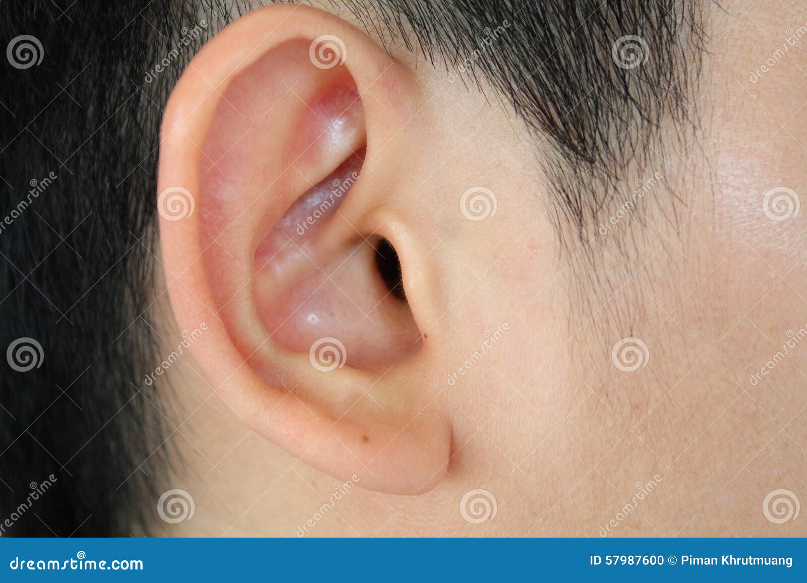 Human ear closeup stock photo. Image of deaf, health - 57987600