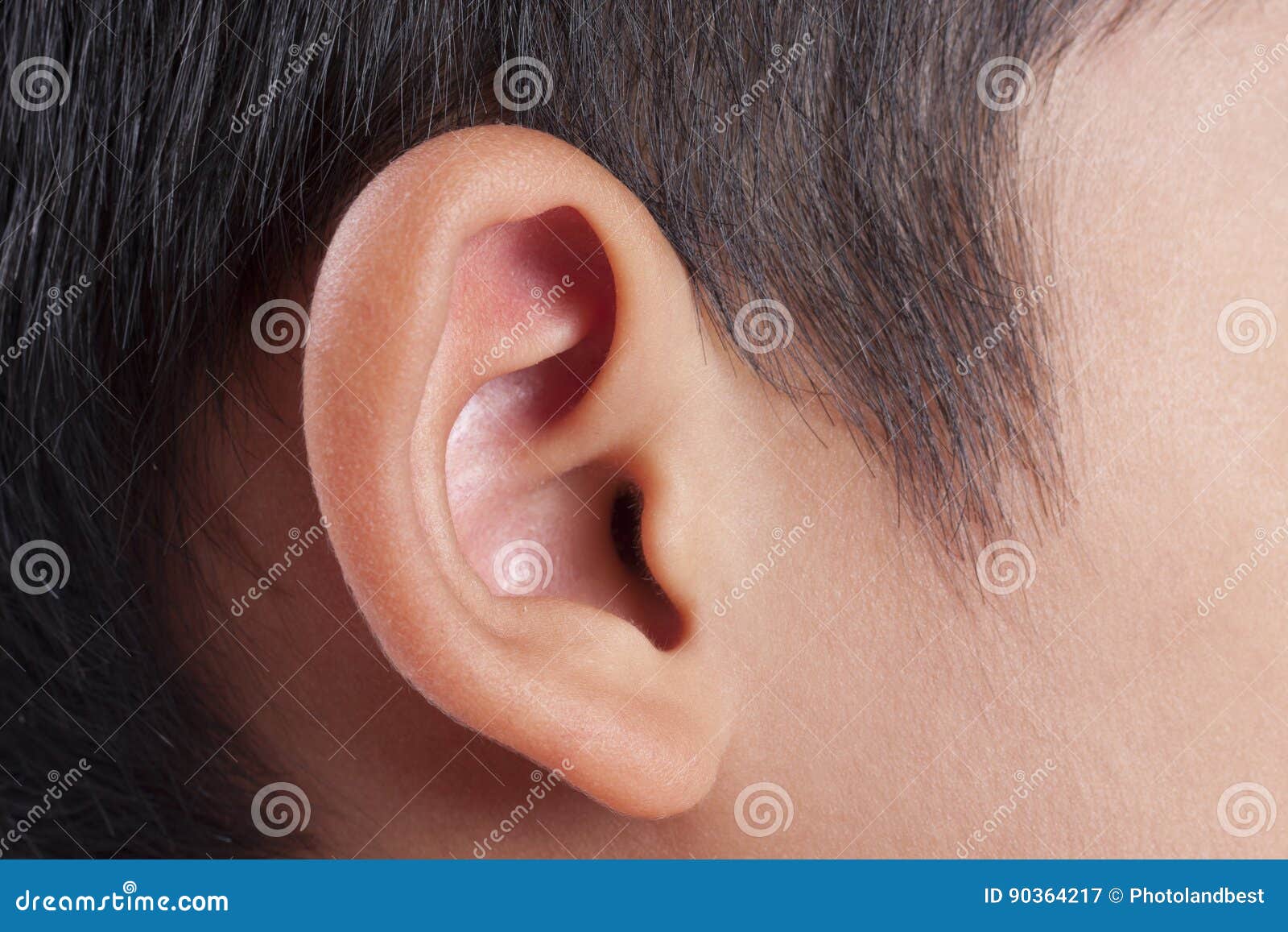 Human Ear Closeup. Royalty-Free Stock Photography | CartoonDealer.com ...