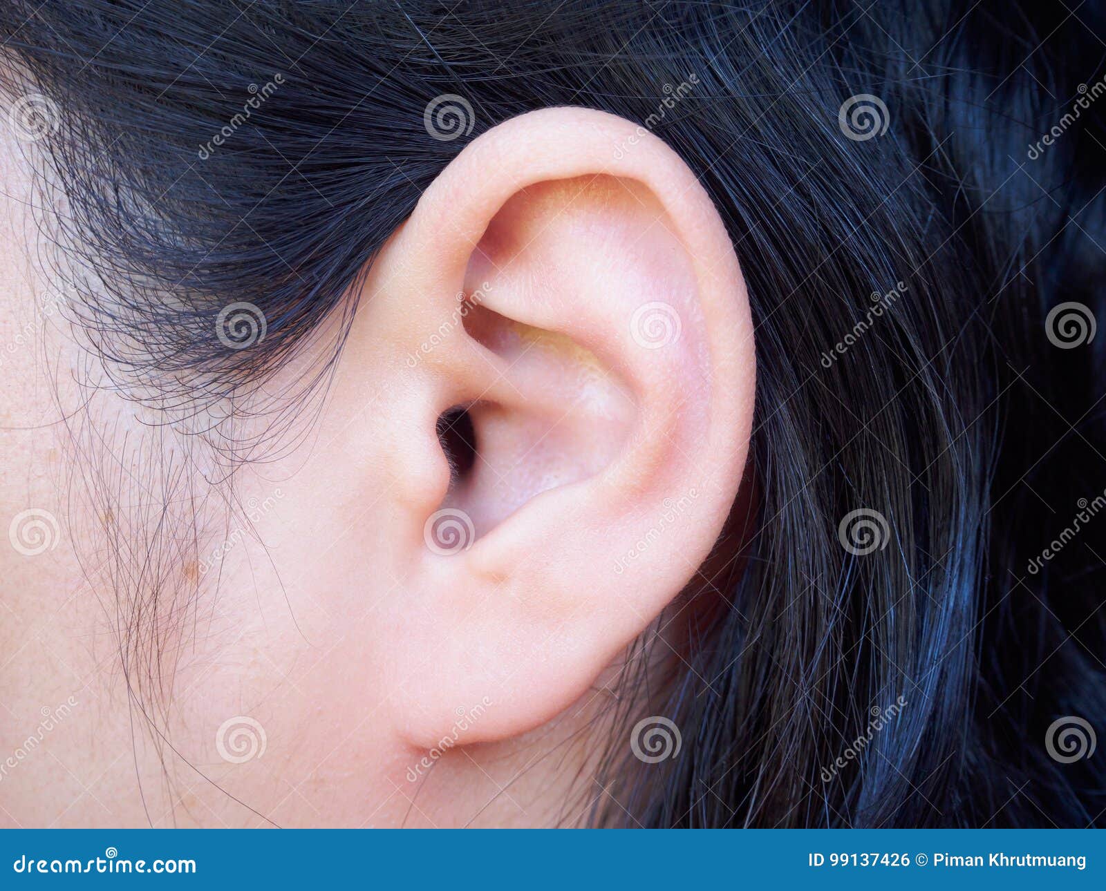 Human ear closeup stock photo. Image of attention, human - 99137426