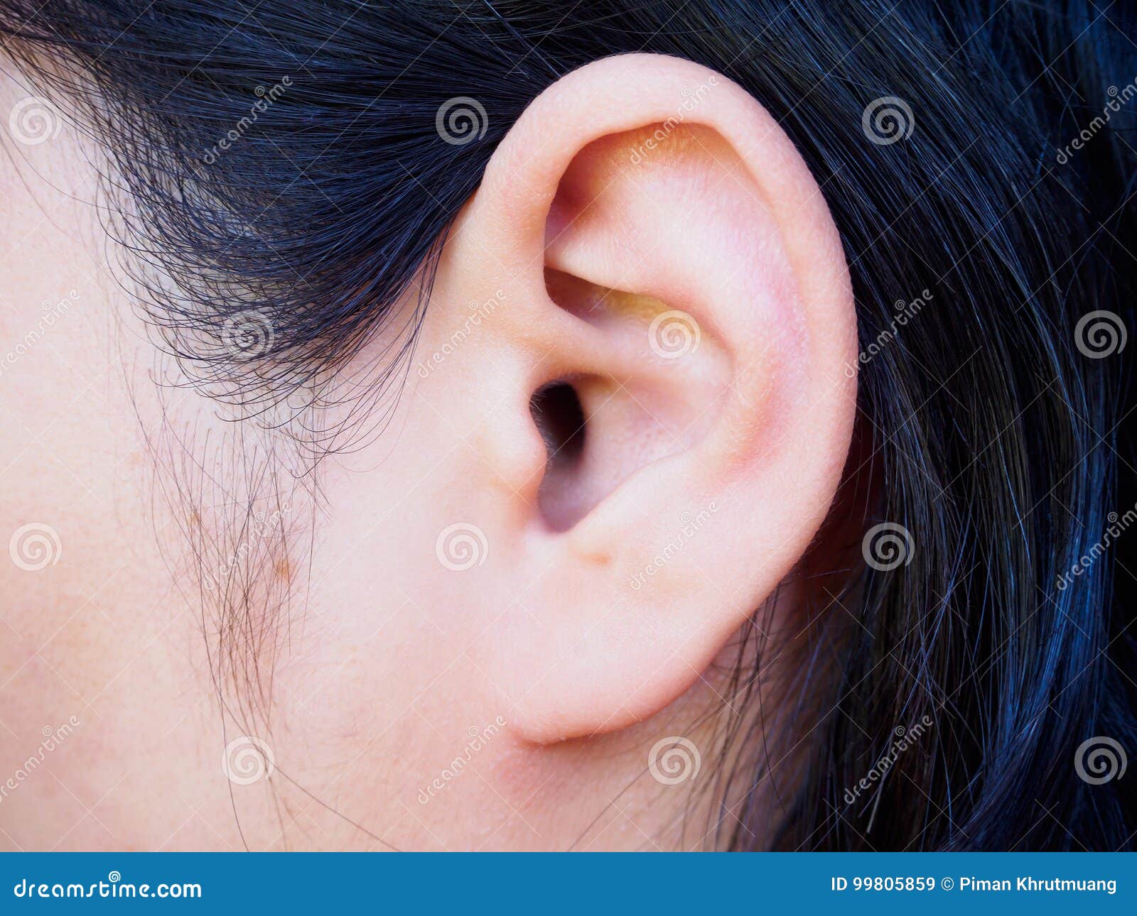 Human ear closeup stock image. Image of hear, girl, anatomy - 99805859