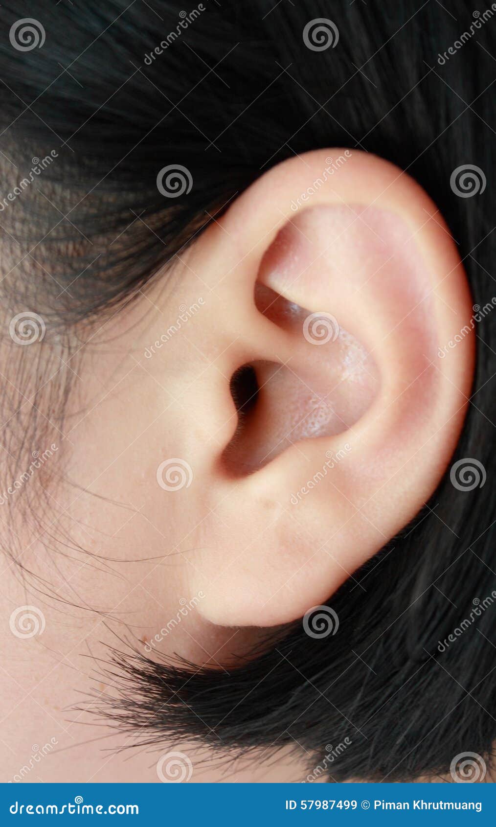 Human ear closeup stock image. Image of closeup, girl - 57987499