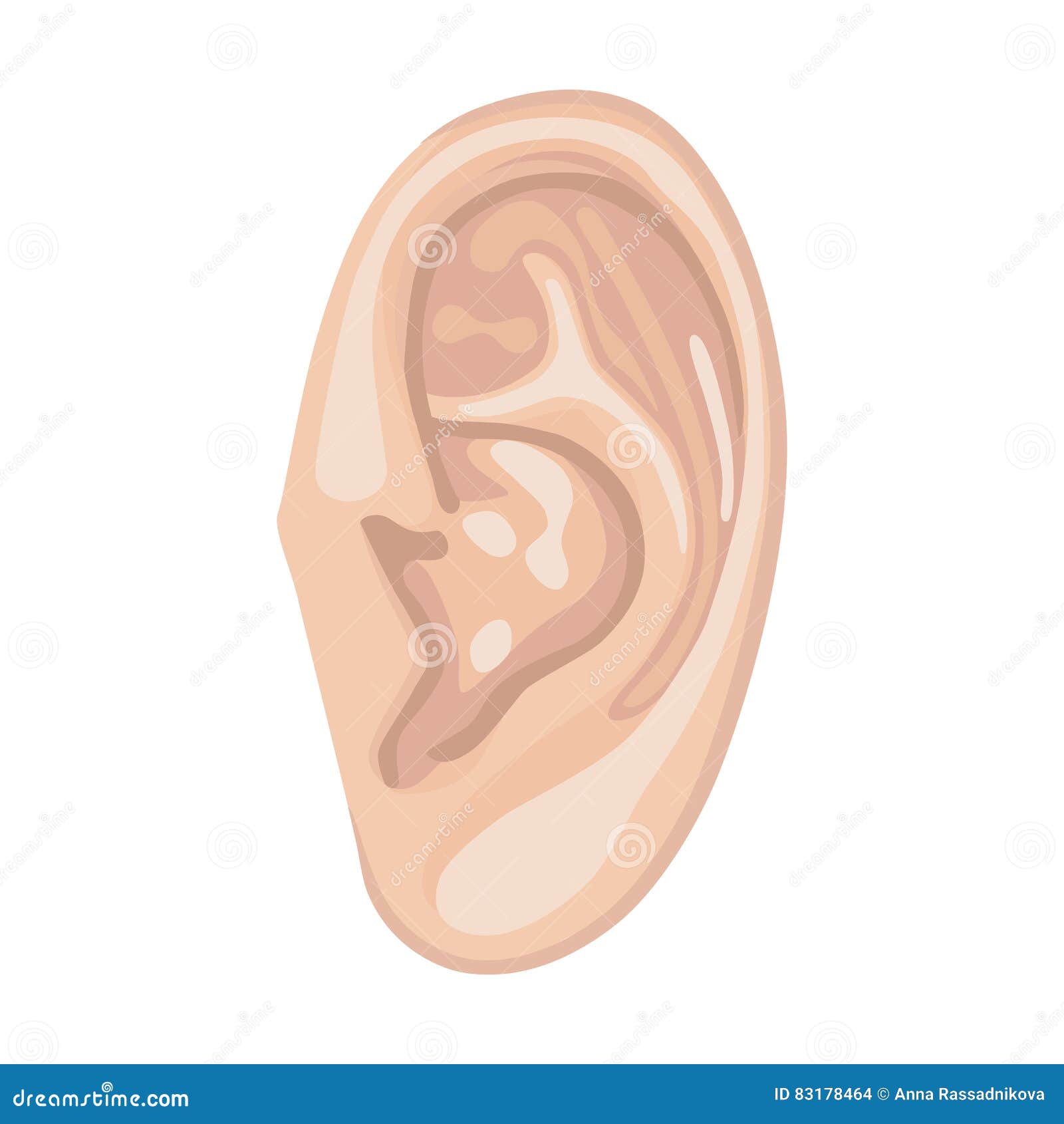 Human ear stock vector. Illustration of perceive, graphic - 83178464
