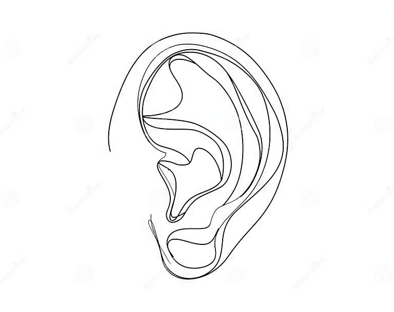Human Ear Outline with a Continuous One-line Drawing. Editable Strokes ...
